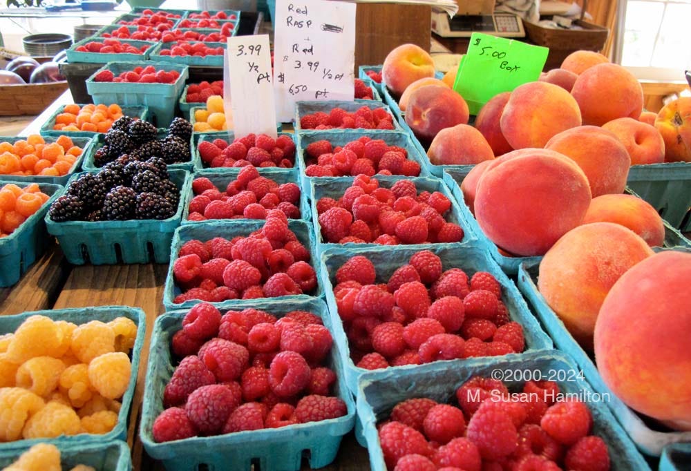 Acid Reflux - CalmGut™ Substack