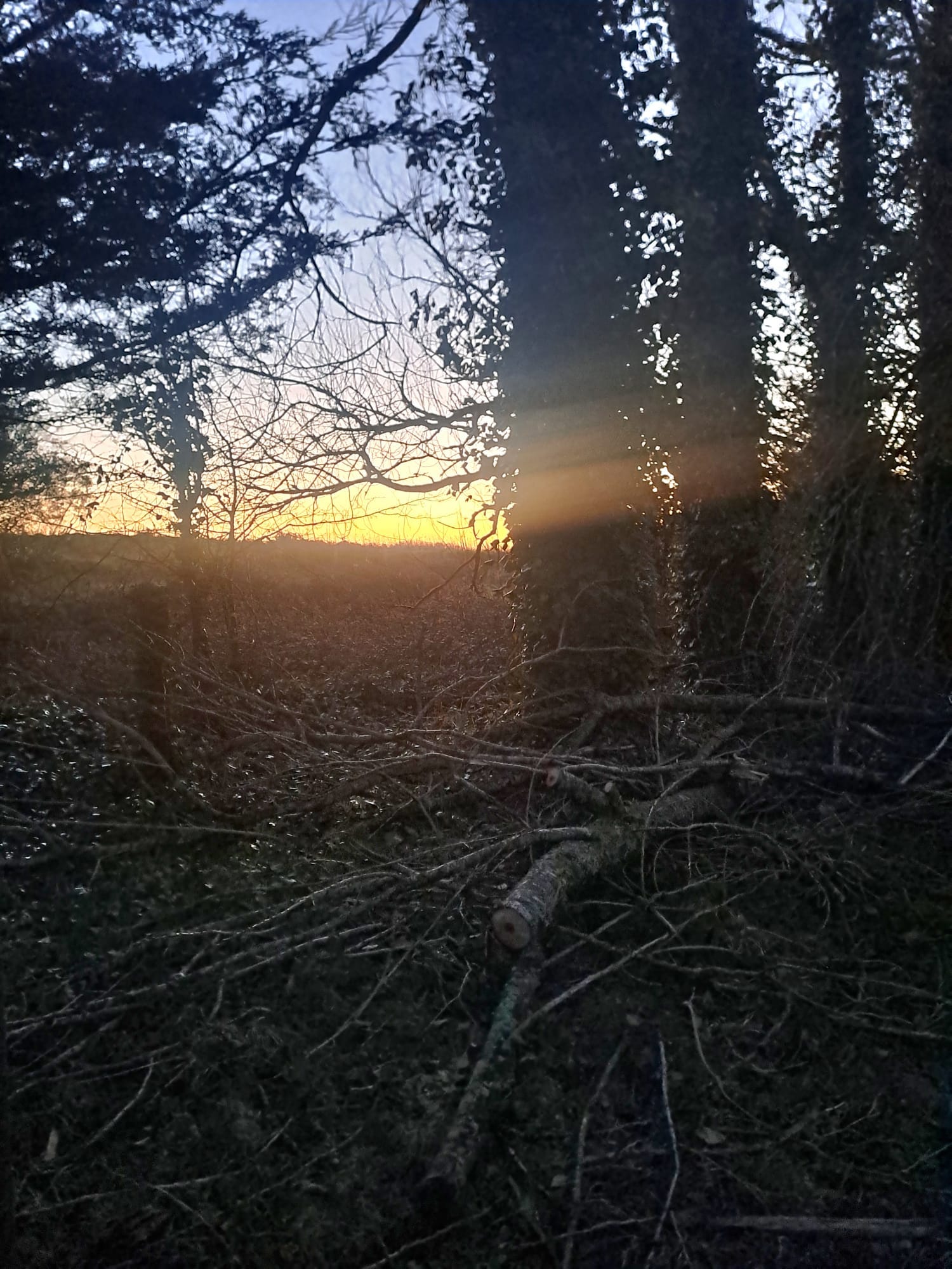 Reflections at twilight... - SheSees.Ie’s Substack