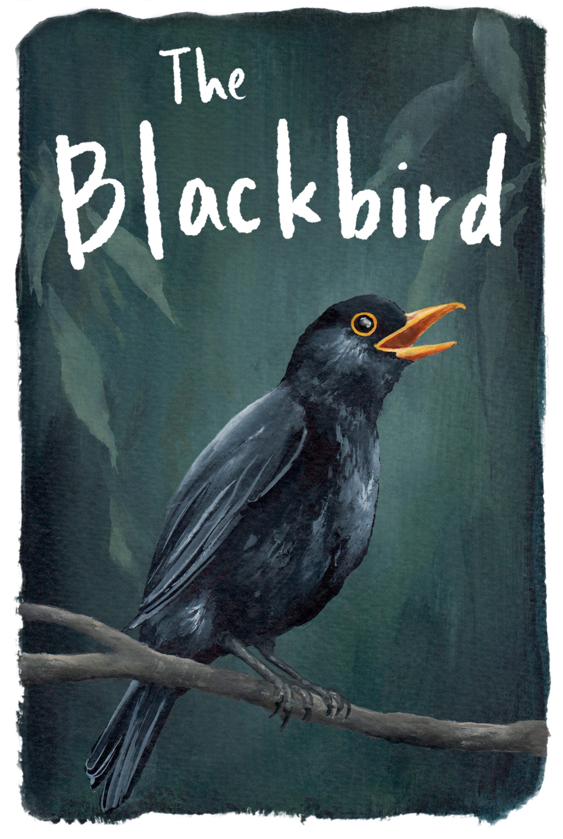Home is where the blackbird sings - by Candace Rose Rardon