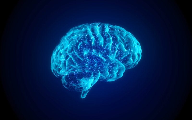New Experiment Suggests Our Brain Uses Quantum Processes, Like Entanglement New Experiment Suggests Our Brain Uses Quantum Processes, Like Entanglement