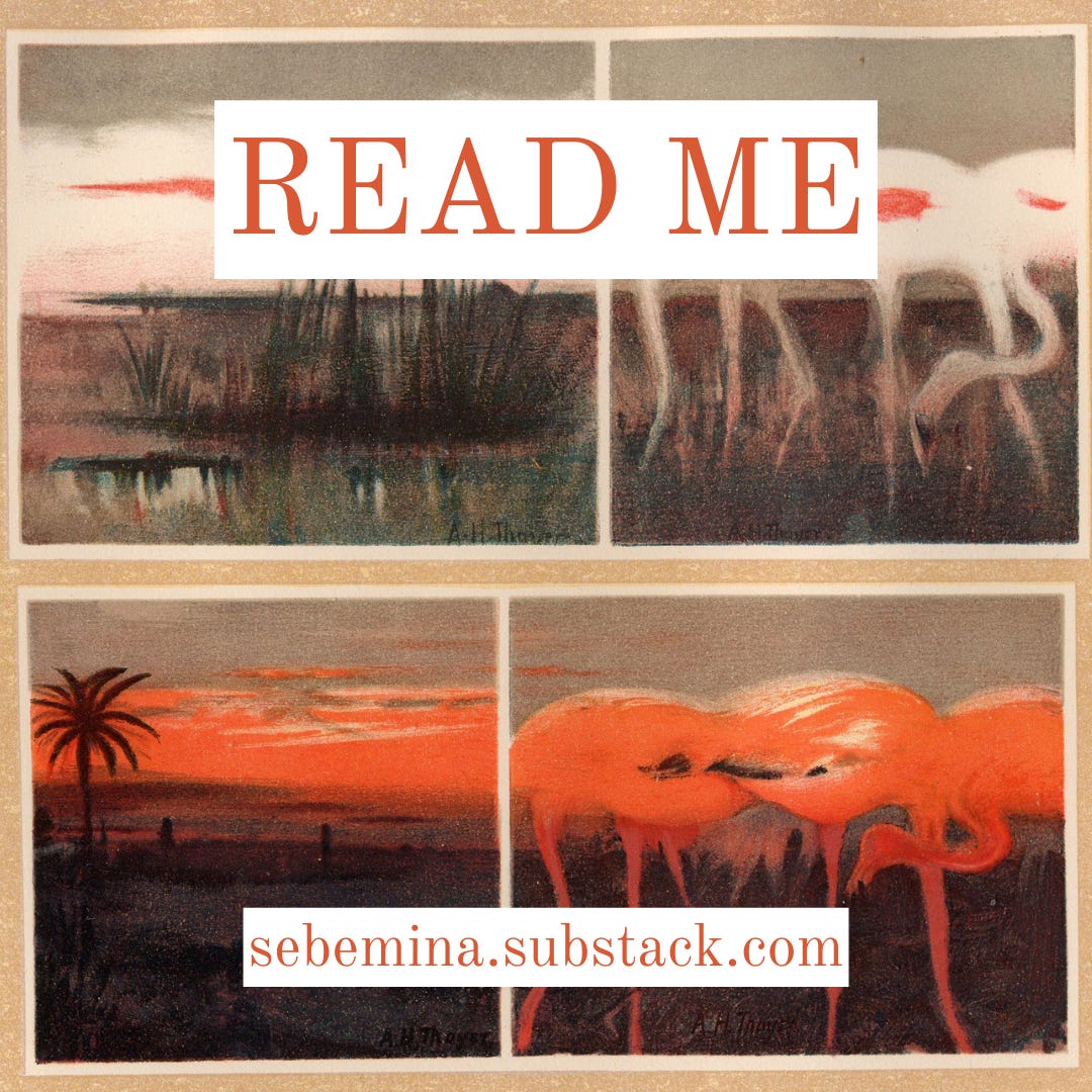 Reading, writing, radio - by Annabel Vickers