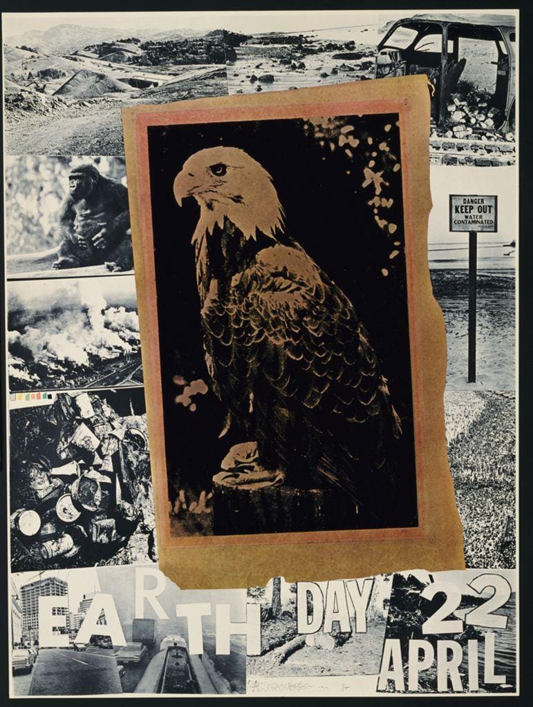 The First Earth Day 1970 - by Laura McLaws Helms