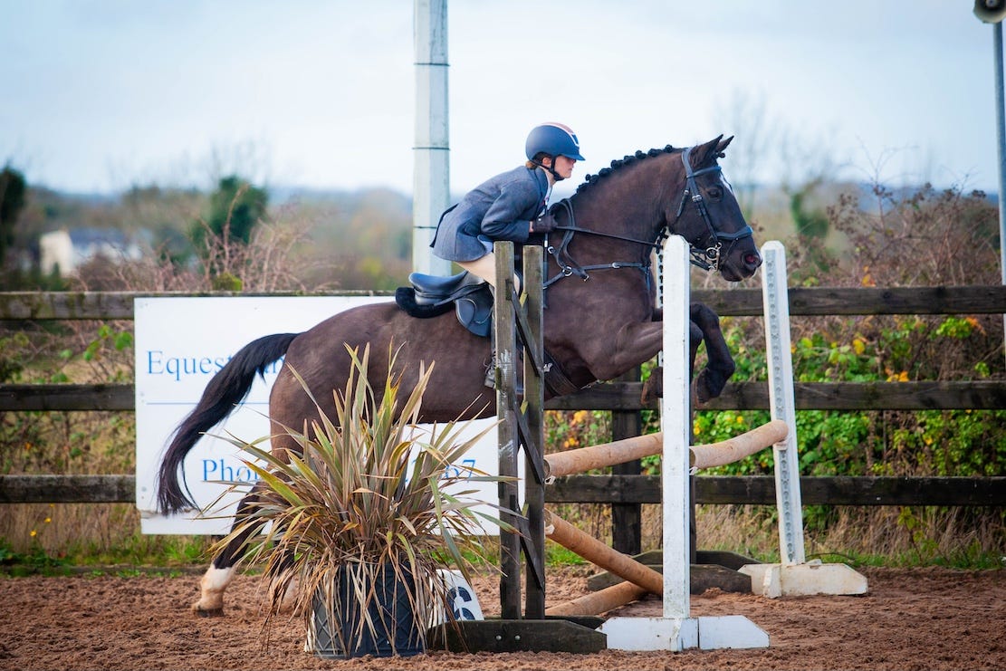 Autumn sun shines on equine activities - Horse&Field