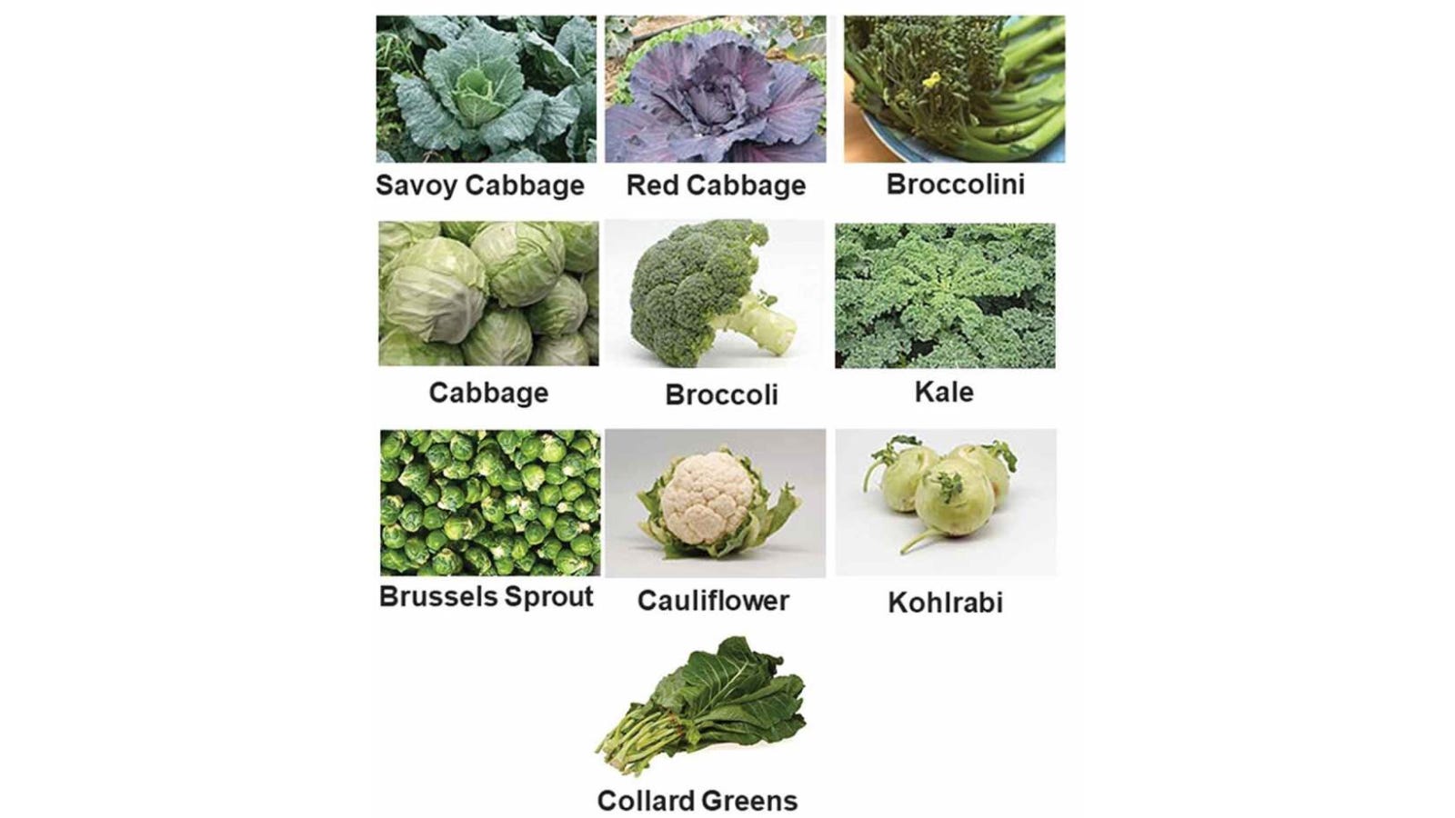 How Cruciferous Veggies May Protect the Gut