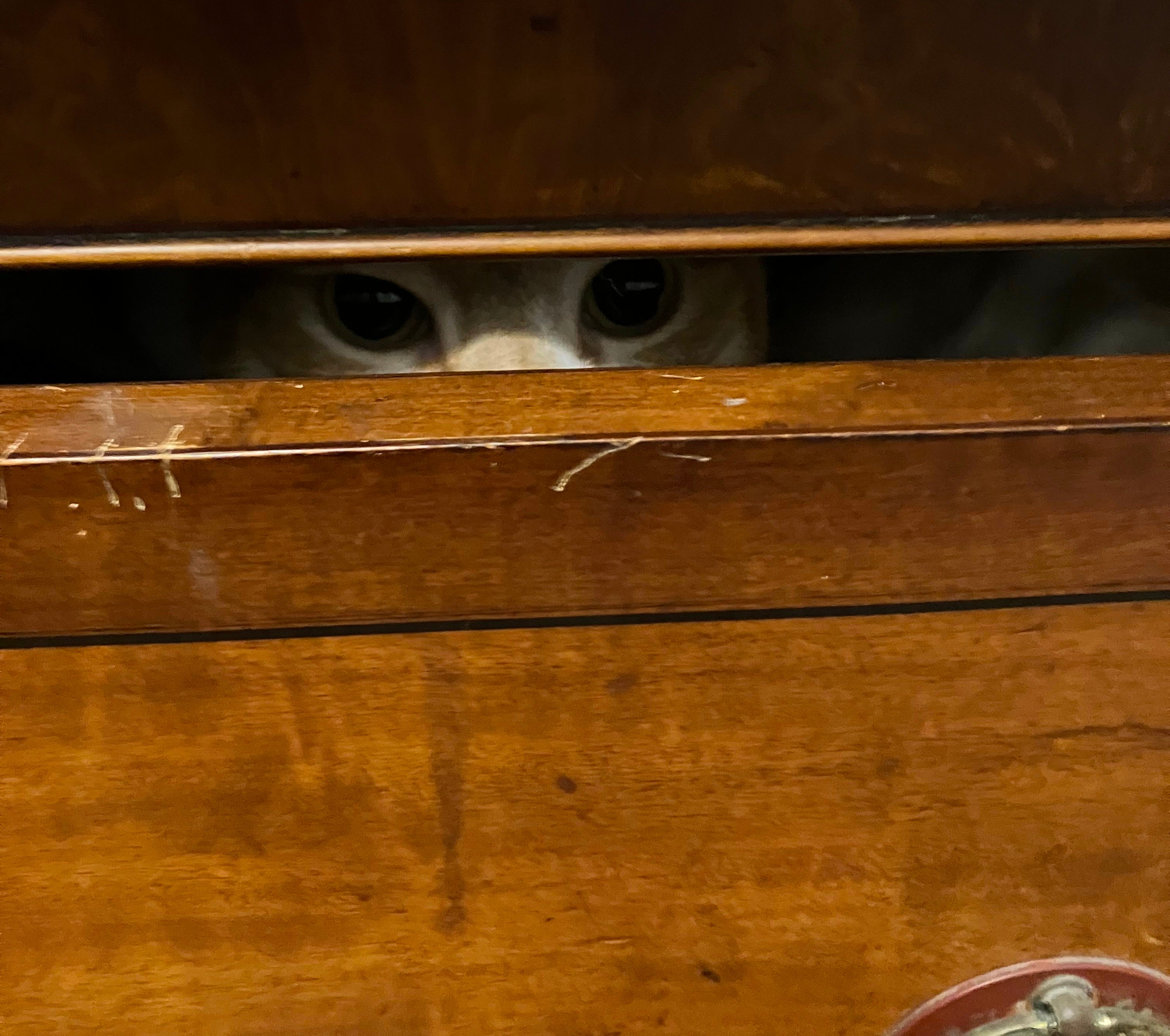 The Open Curtain - by Colin Lubner - Colin’s Substack