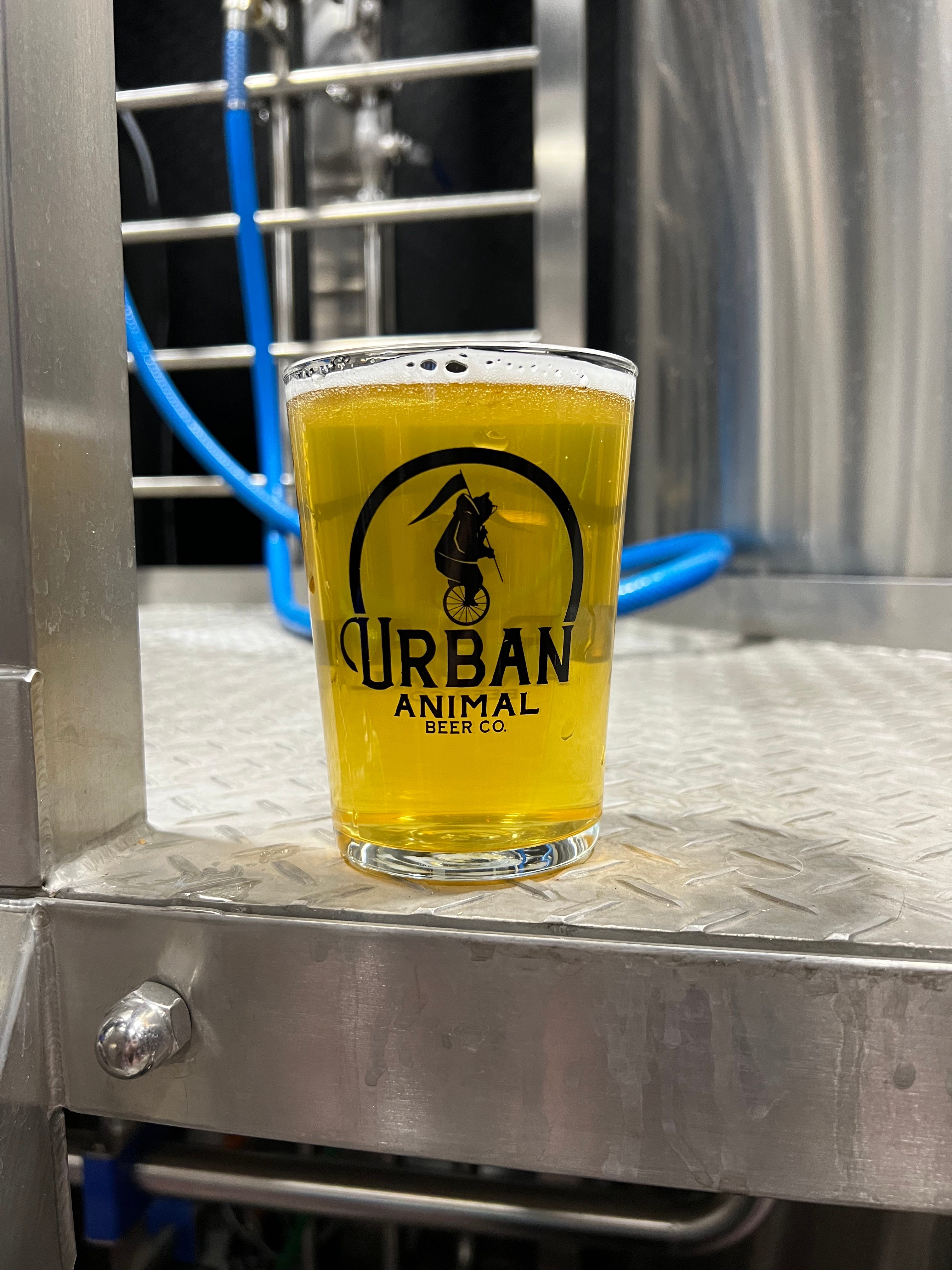 5.2.23 - by Ryan Hannigan - Focal Pint by Focus on the Beer