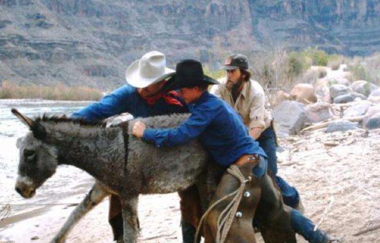 The Legend of Brighty of the Grand Canyon - by Jan Spell