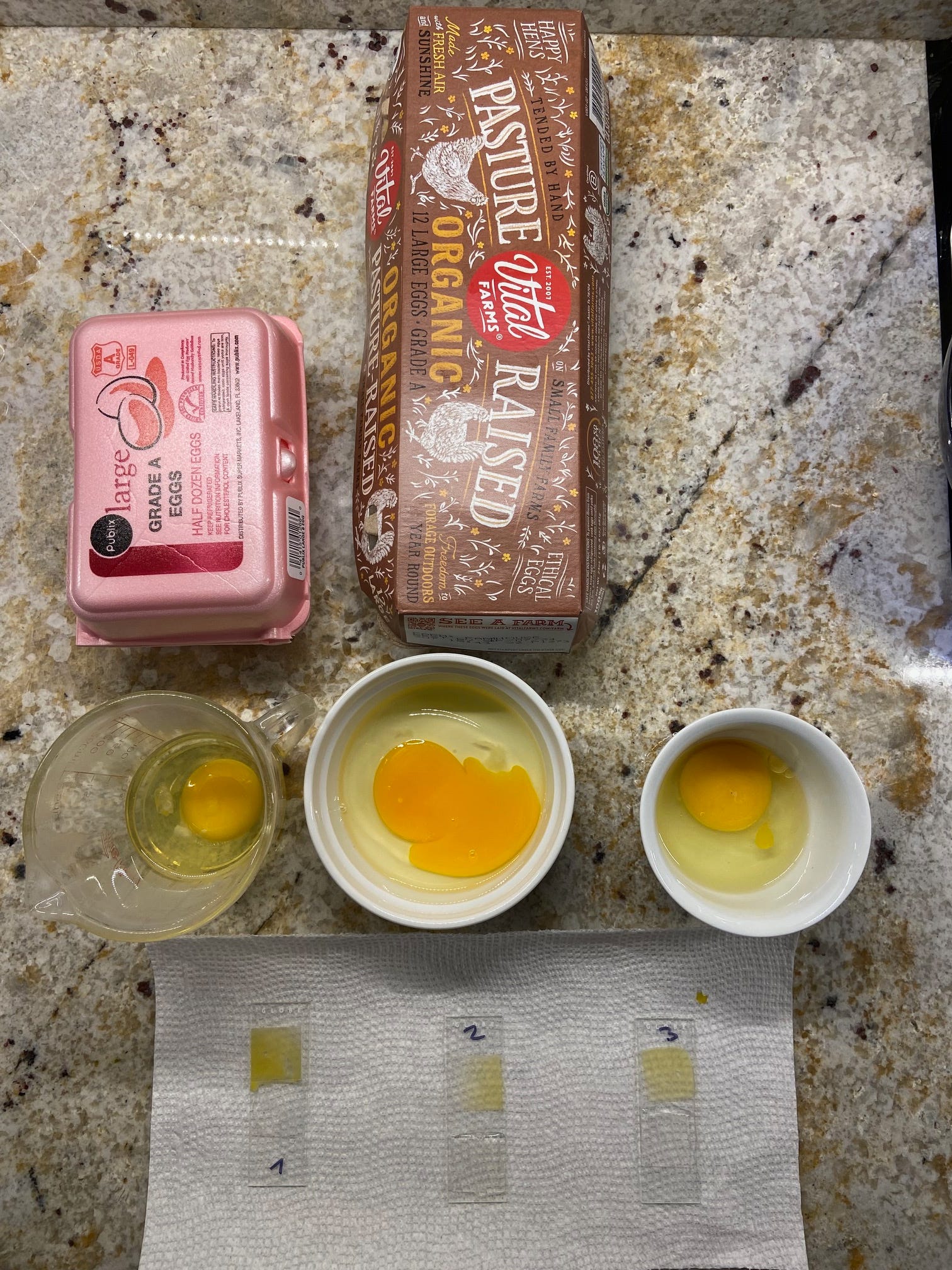 Microscopy of Eggs from Our Chickens