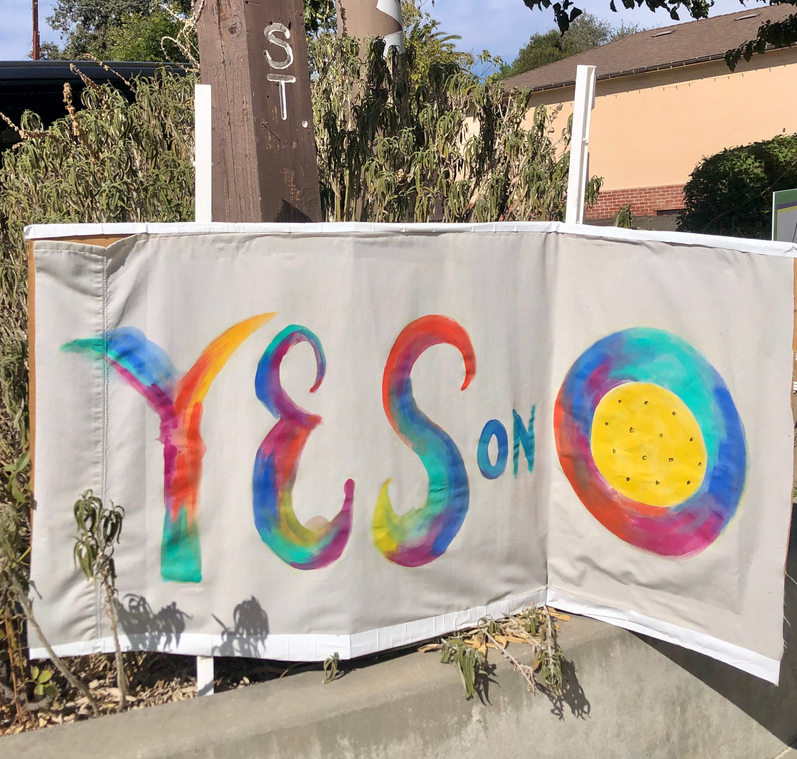 Critical Pickleball Update - by Andra Belknap - Local Hero