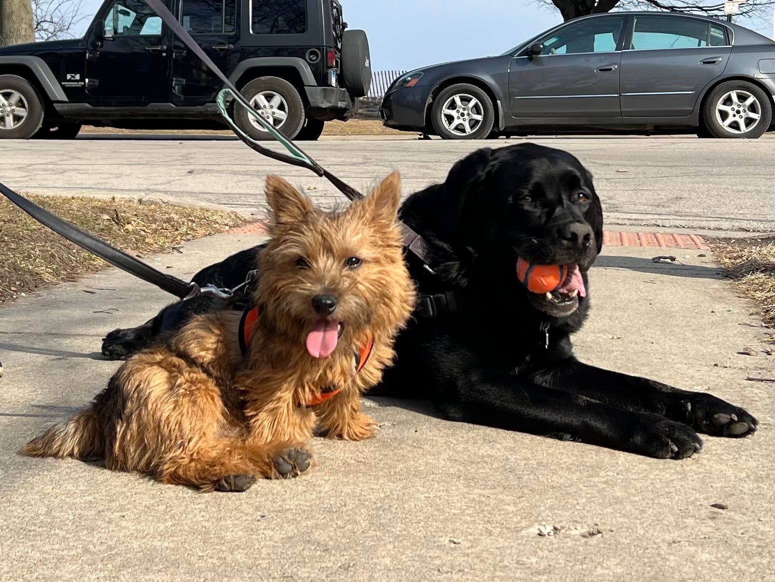 My Gal Piper - by Michael O’Briant - Michael’s Substack