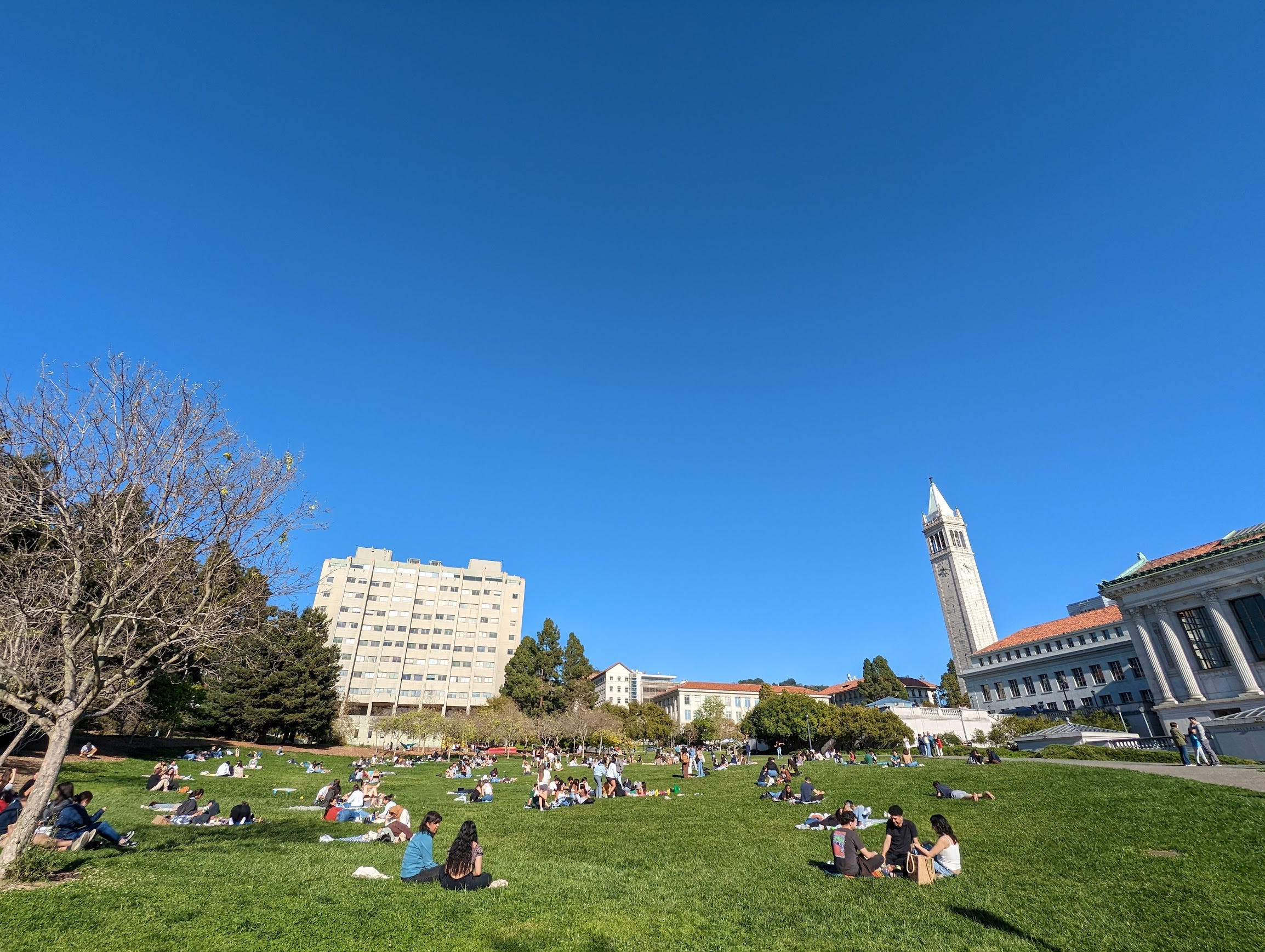 Cal vs. California vs. UC Berkeley vs. Cal Berkeley vs. Berkeley: Which ...