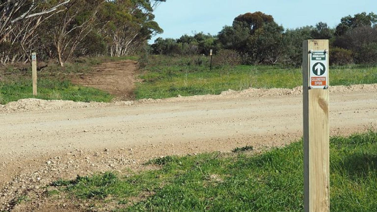 Walk of the Month: Bremer Valley Walk to Callington