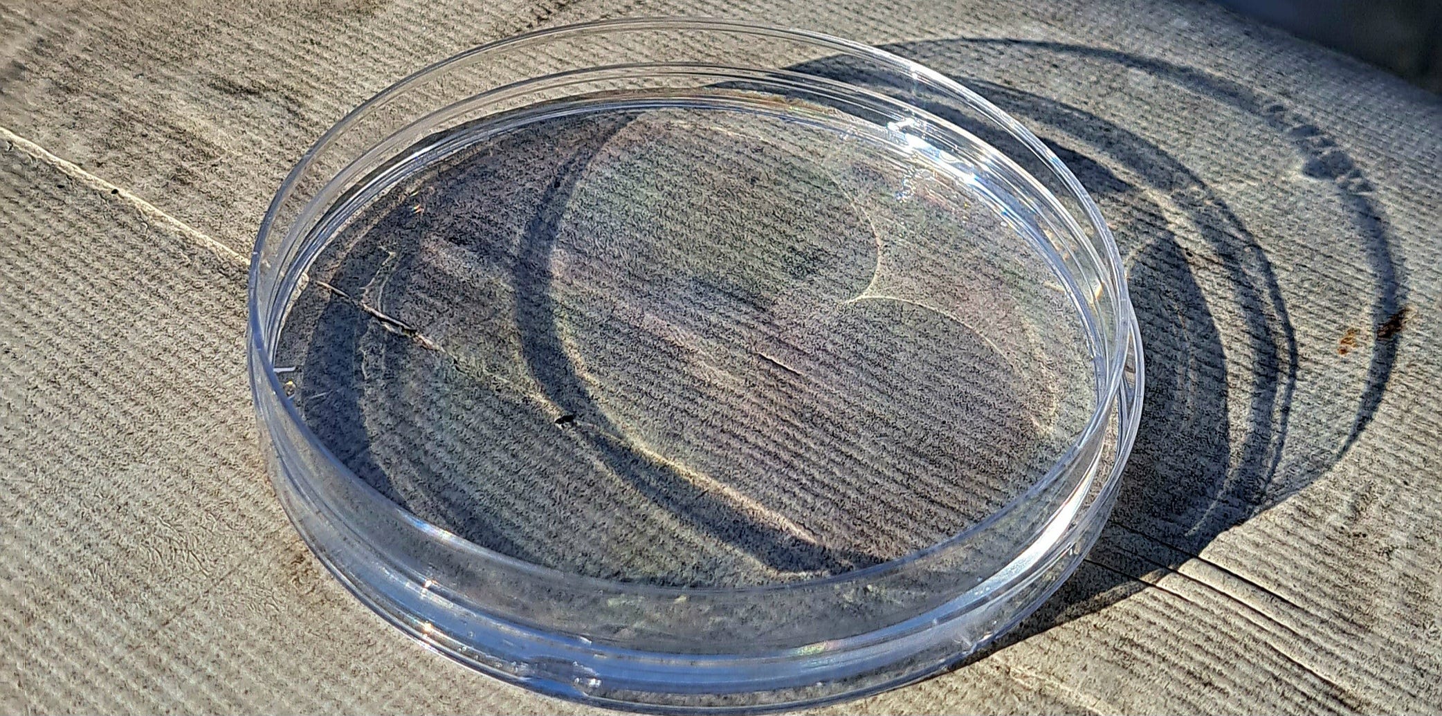 👻 G-G-Ghost Filaments! - Will: Micronaut