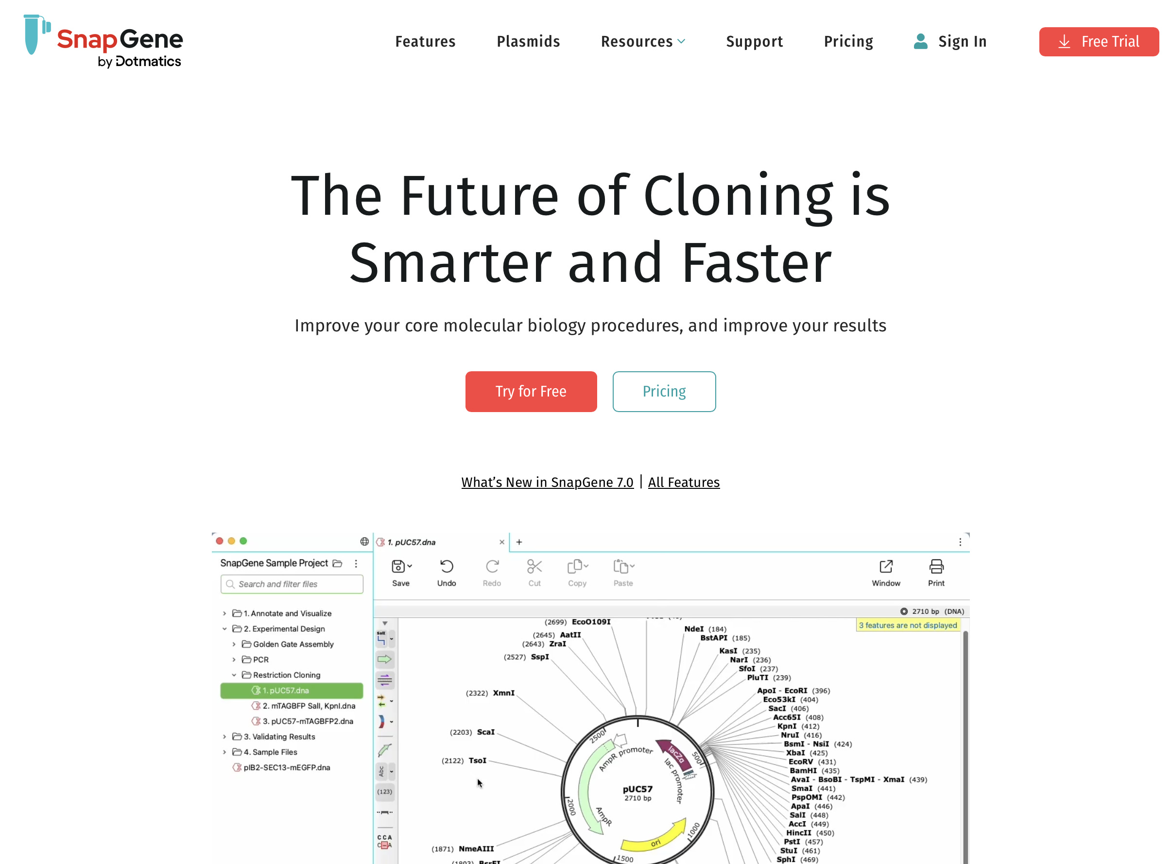 Intent to Deceive - by Anandamide