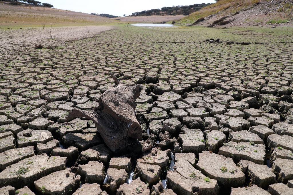 OS ALGARVIOS ESTÃO A SER ENGANADOS - Rui Amores Newsletter