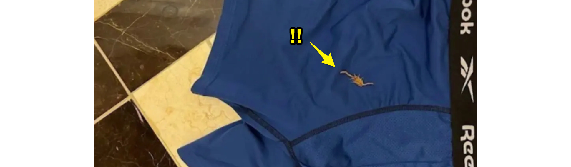 ☕️ STUNG ☙ Wednesday, March 6, 2024 ☙ C&C NEWS 🦠