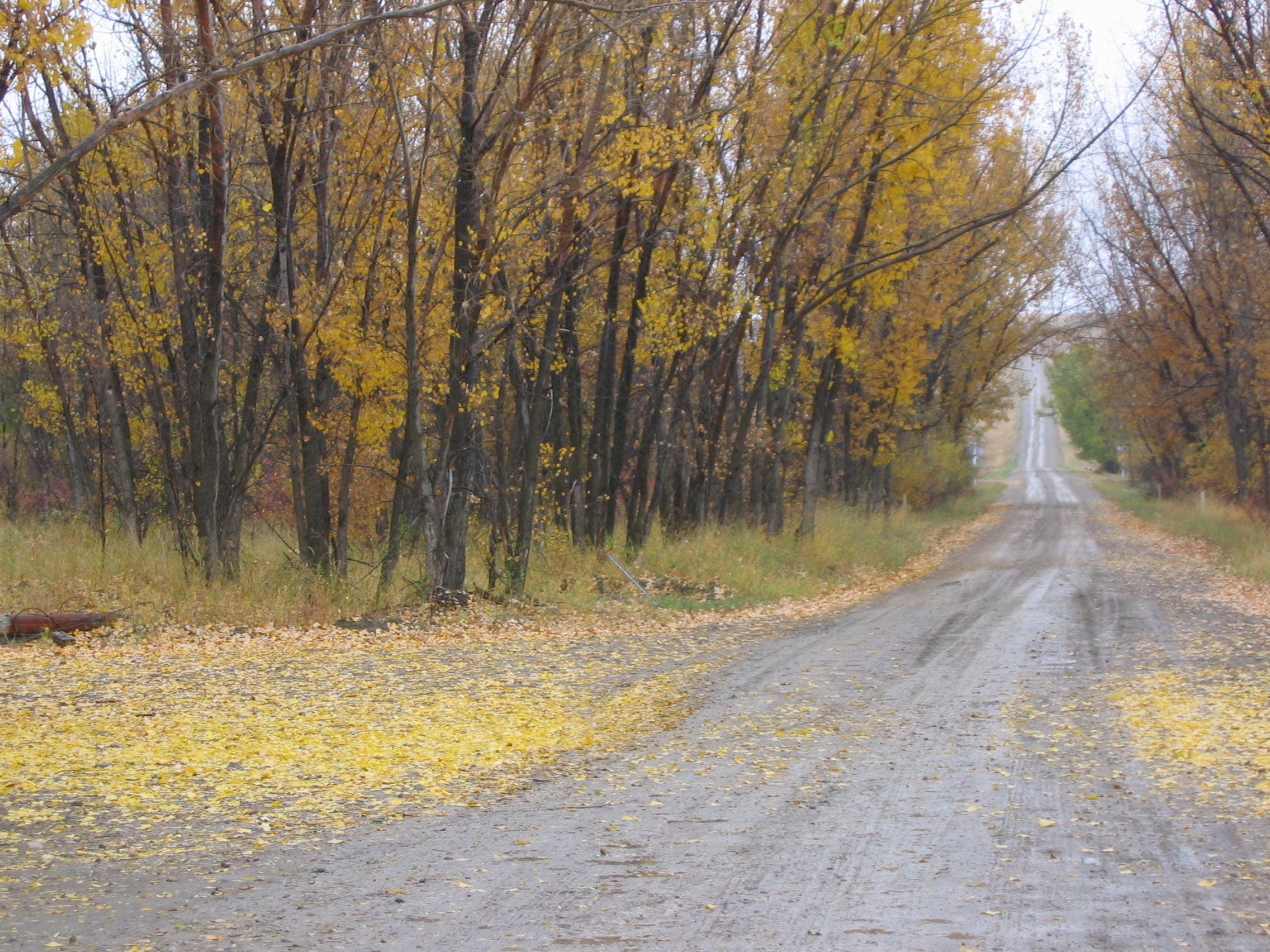 Trevor Casper | Substack