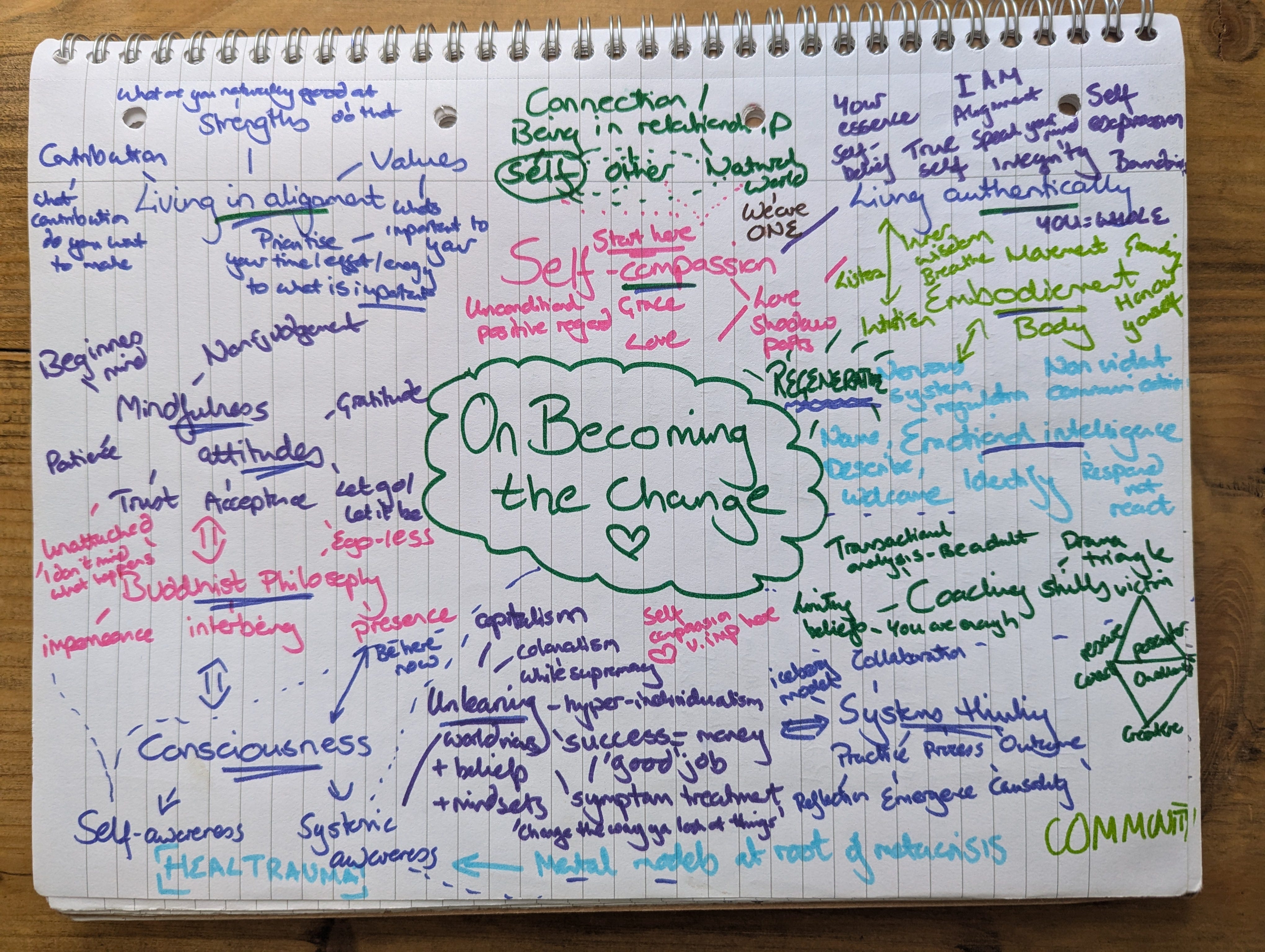 How do we become the change? My vision for a thriving future - Solo episode