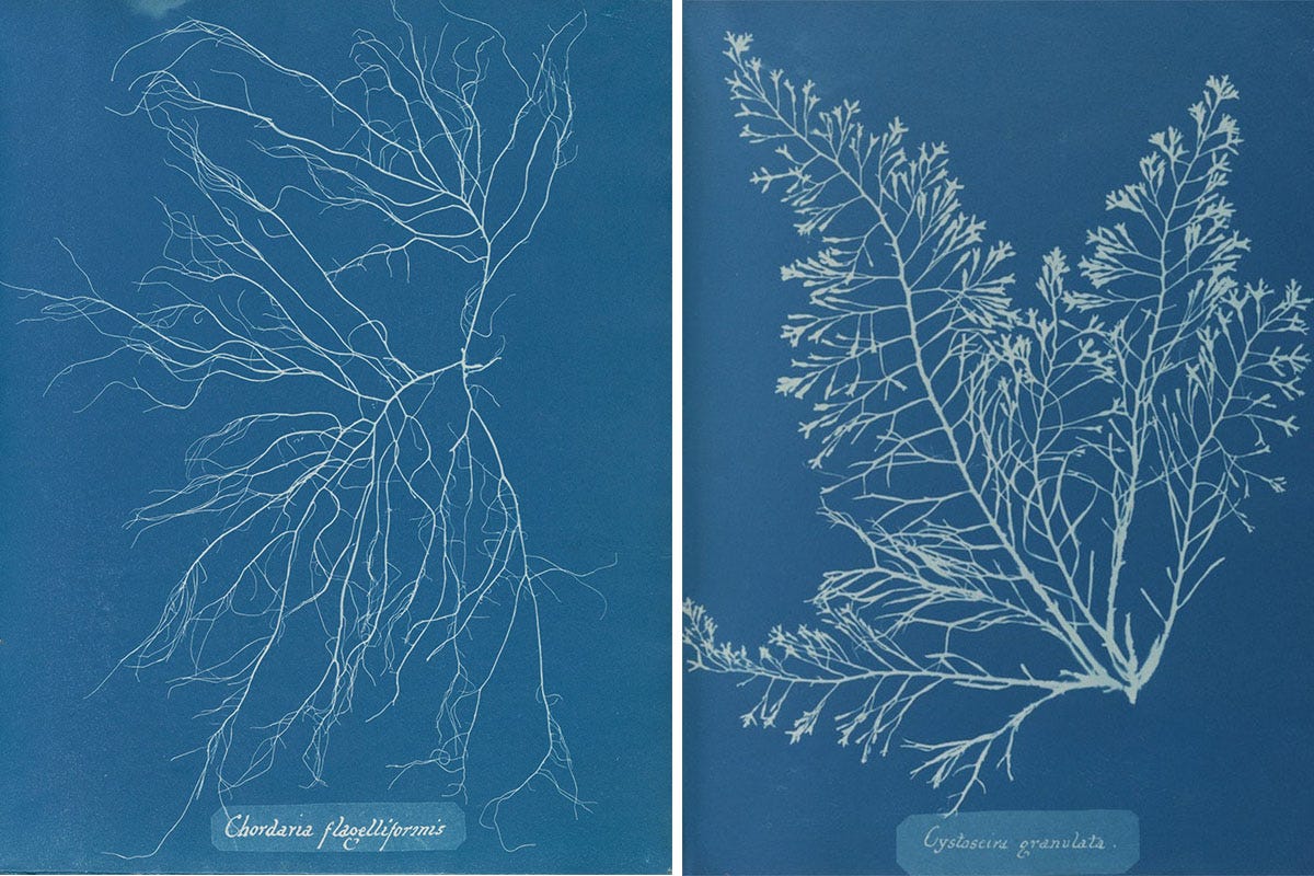 Embracing Imperfection - Creative Fuel with Anna Brones