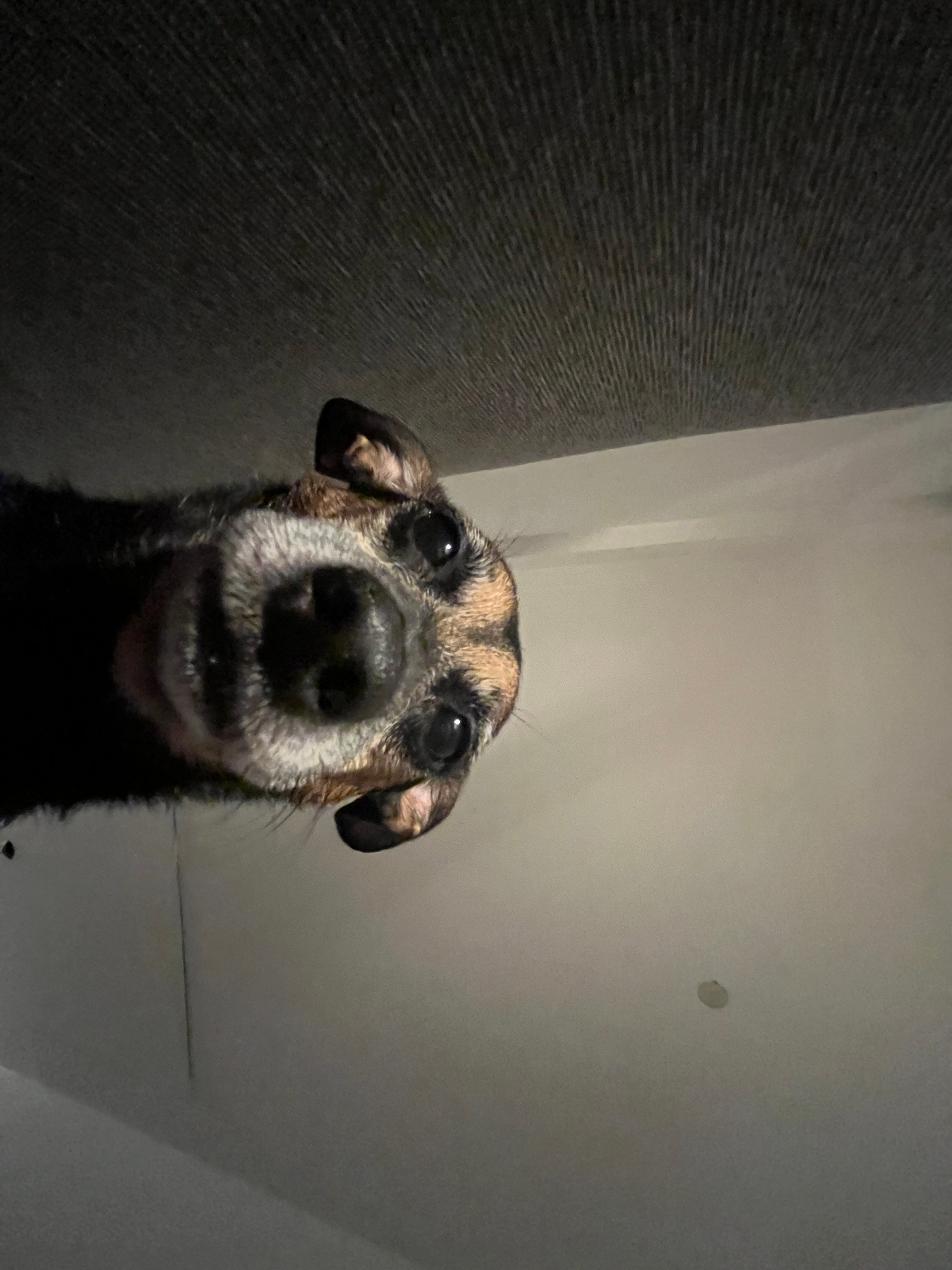 Lara Cáseres | Substack