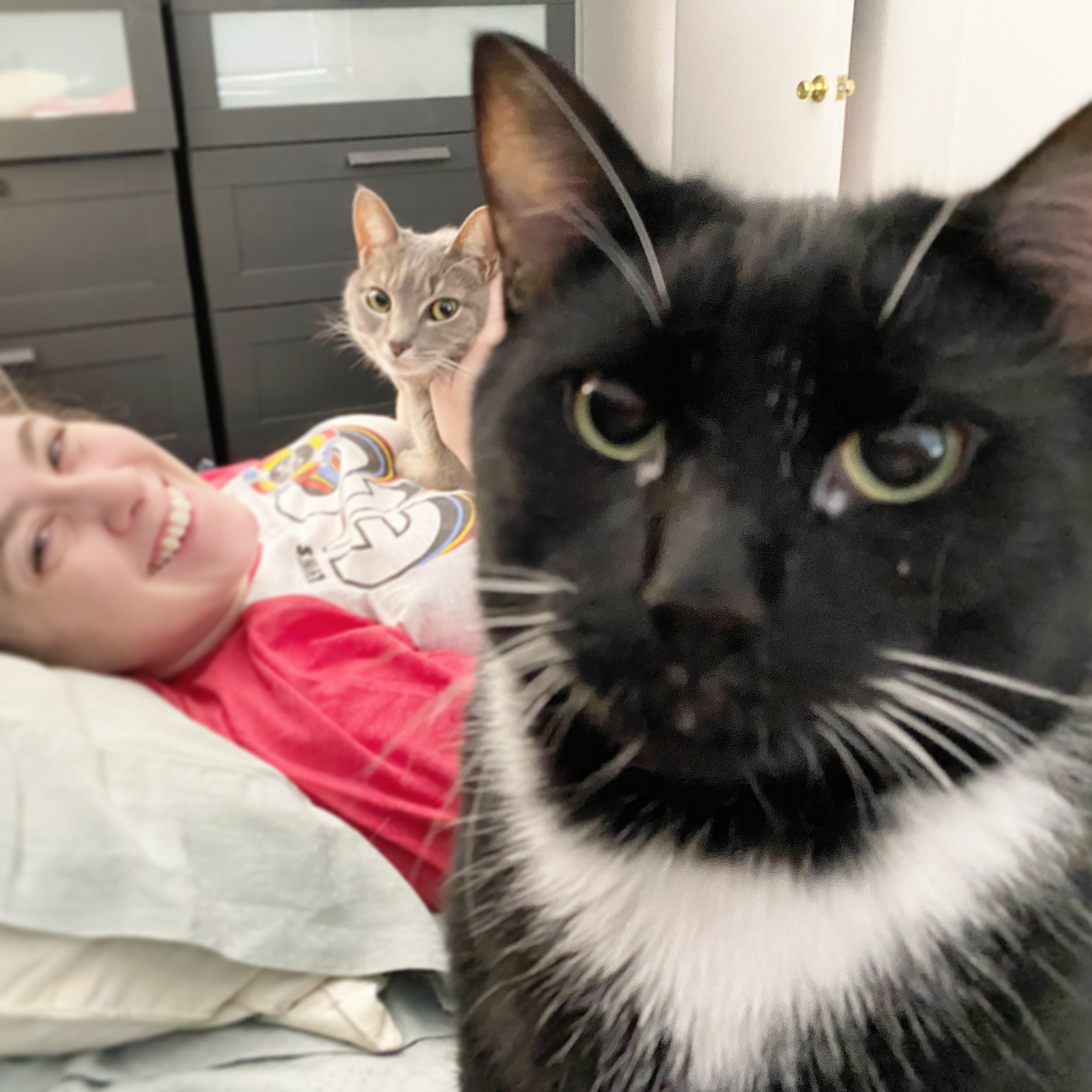 48. The Week in Me - by Tara Giancaspro