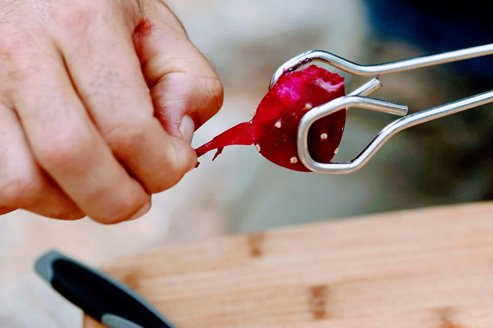 How to Gather & Process Prickly Pear Fruit for Juice - Part 1