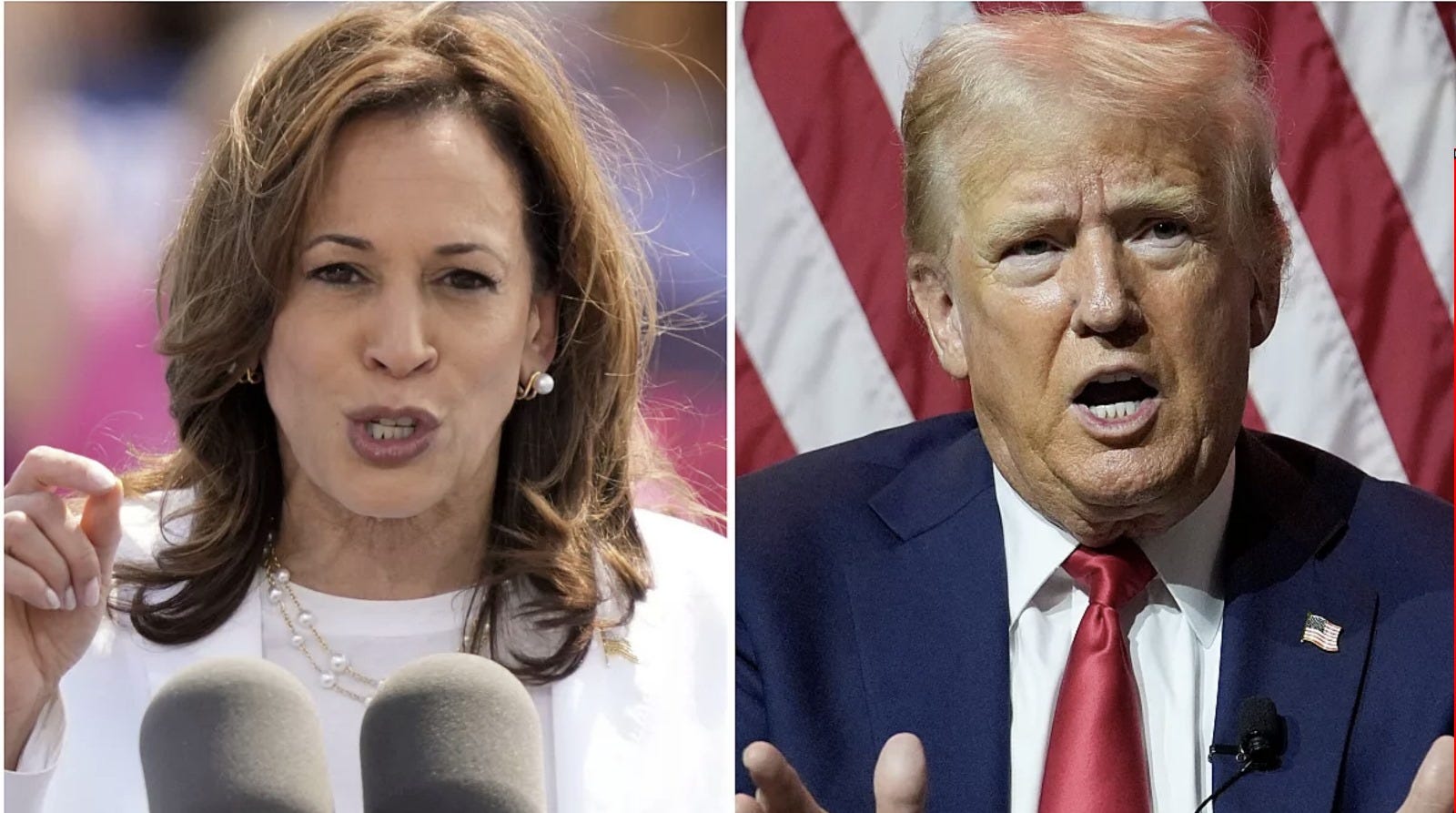 Trump vs Harris: Which is the Apocalypse - Howard Bloom Institute