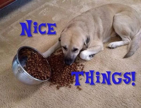 We Got Nice Things In Your Nice Things! - by Doktor Zoom