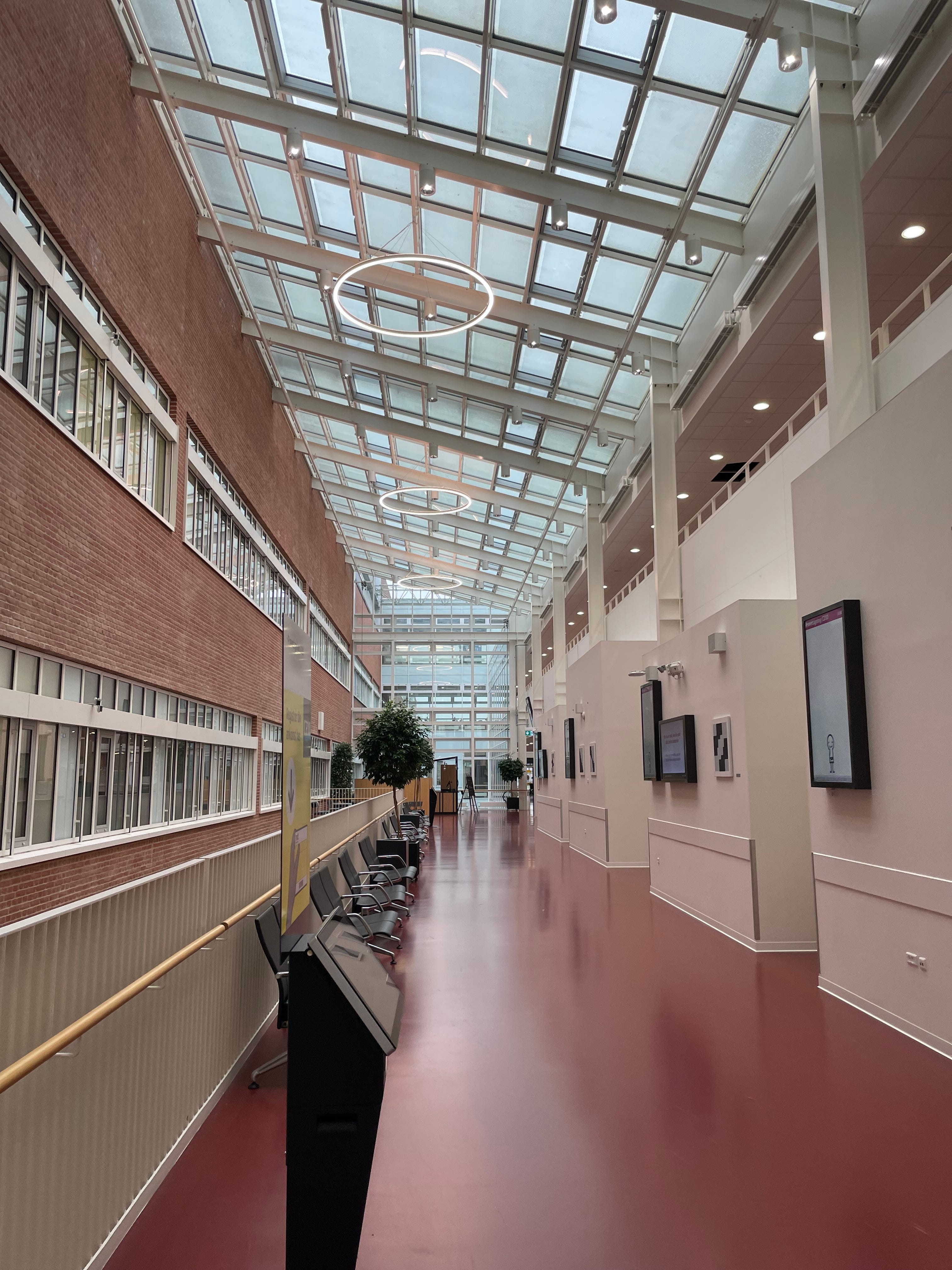 On Being a Cancer Patient in Denmark - by Meg Fischer