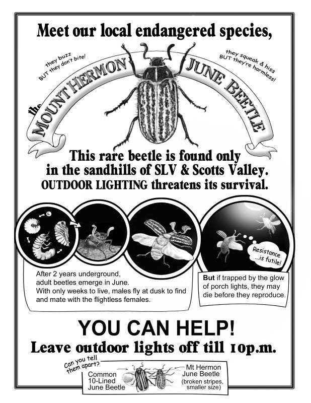 memory and the santa cruz sandhills - by Autumn Fowler