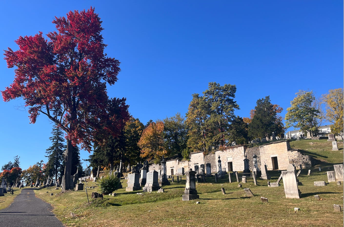 A Cemetery Story: Ancestors, Rituals, and a Bike Ride Away