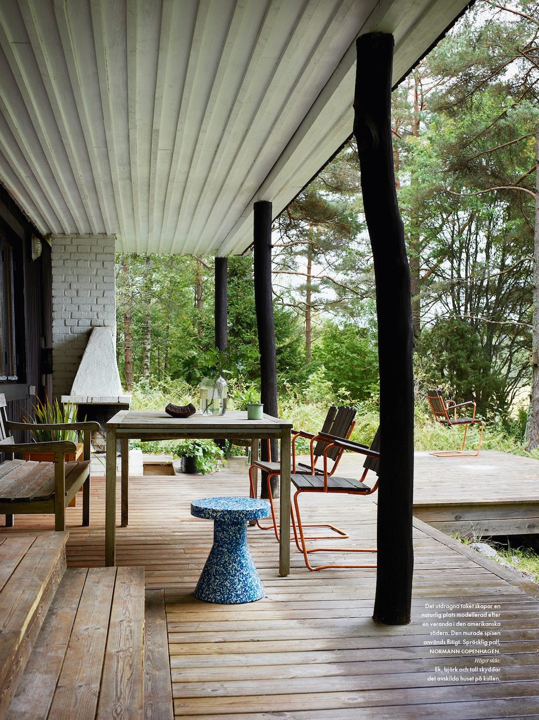 Spring feelings - by Alice Betts - Alice’s Substack