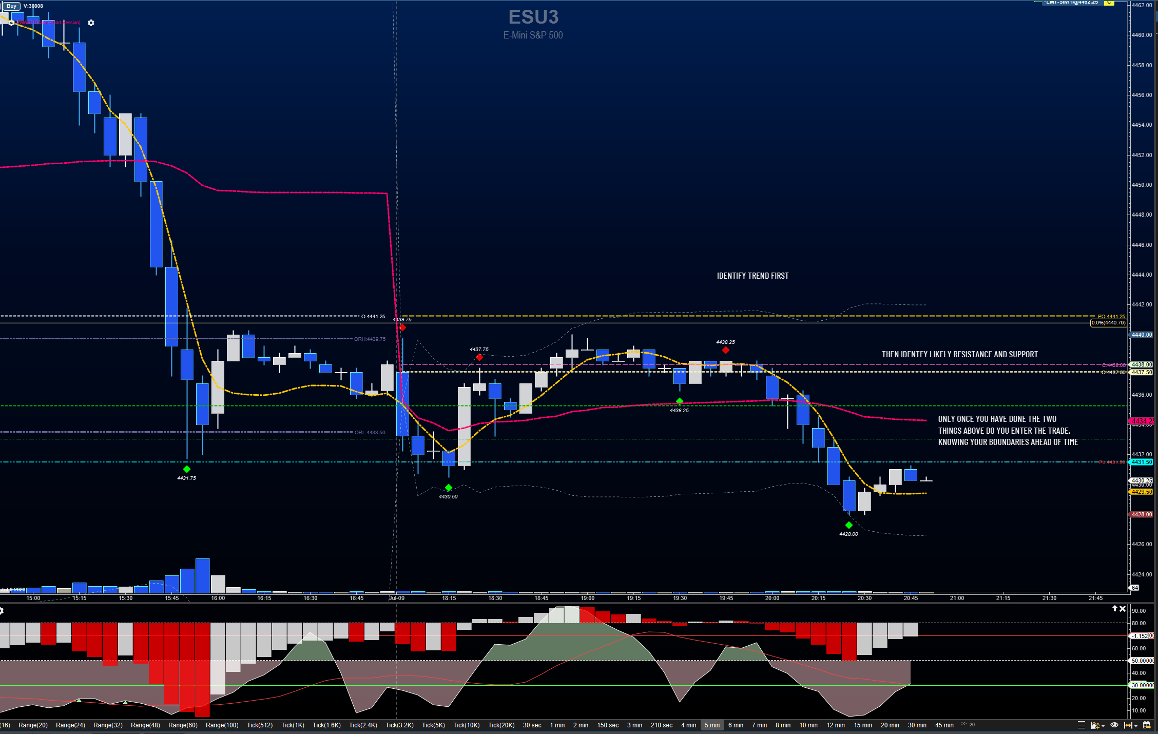 The ES_F in Pictures - by Anne-Marie Baiynd