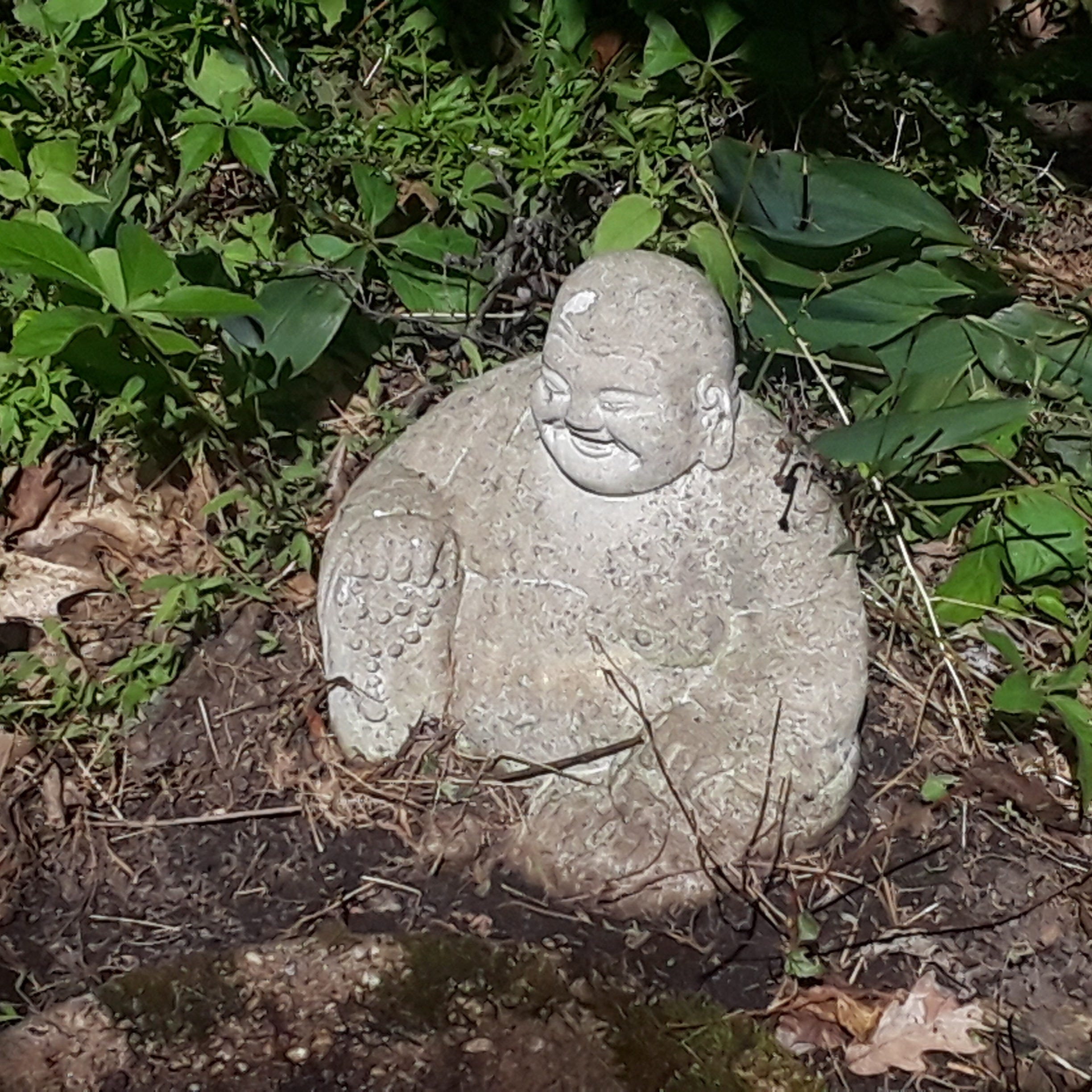 Elizabeth Jorgensen | Substack