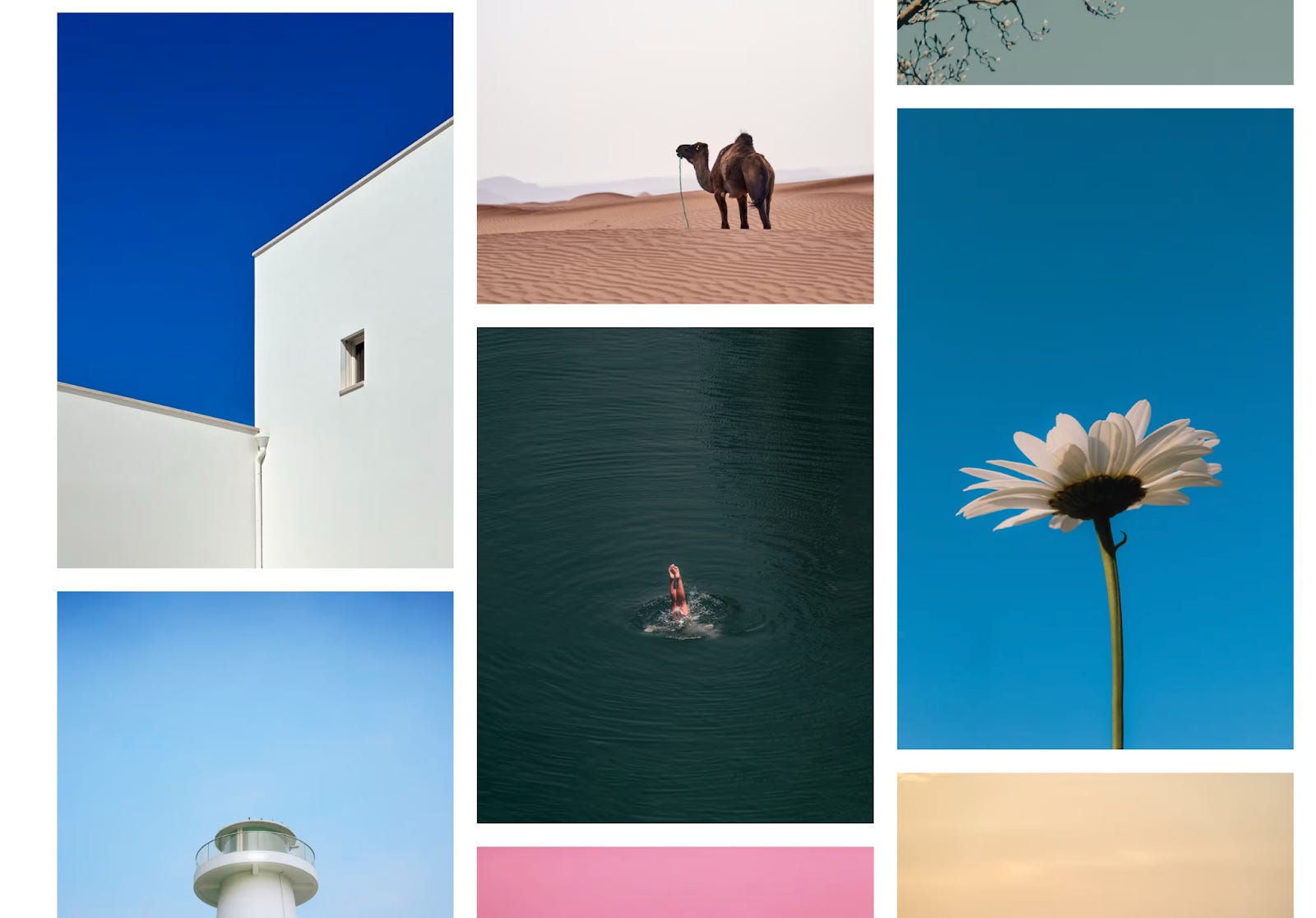 Tribu Visual Thinking Nº25. Enero 2024