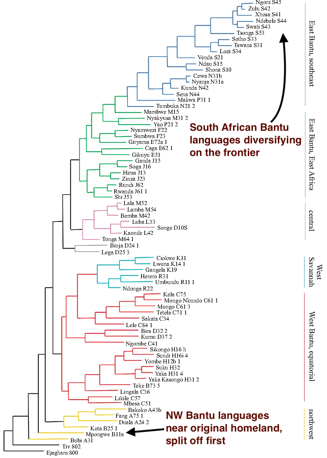 Bantu über alles: three millennia of unstoppable African farmers ...