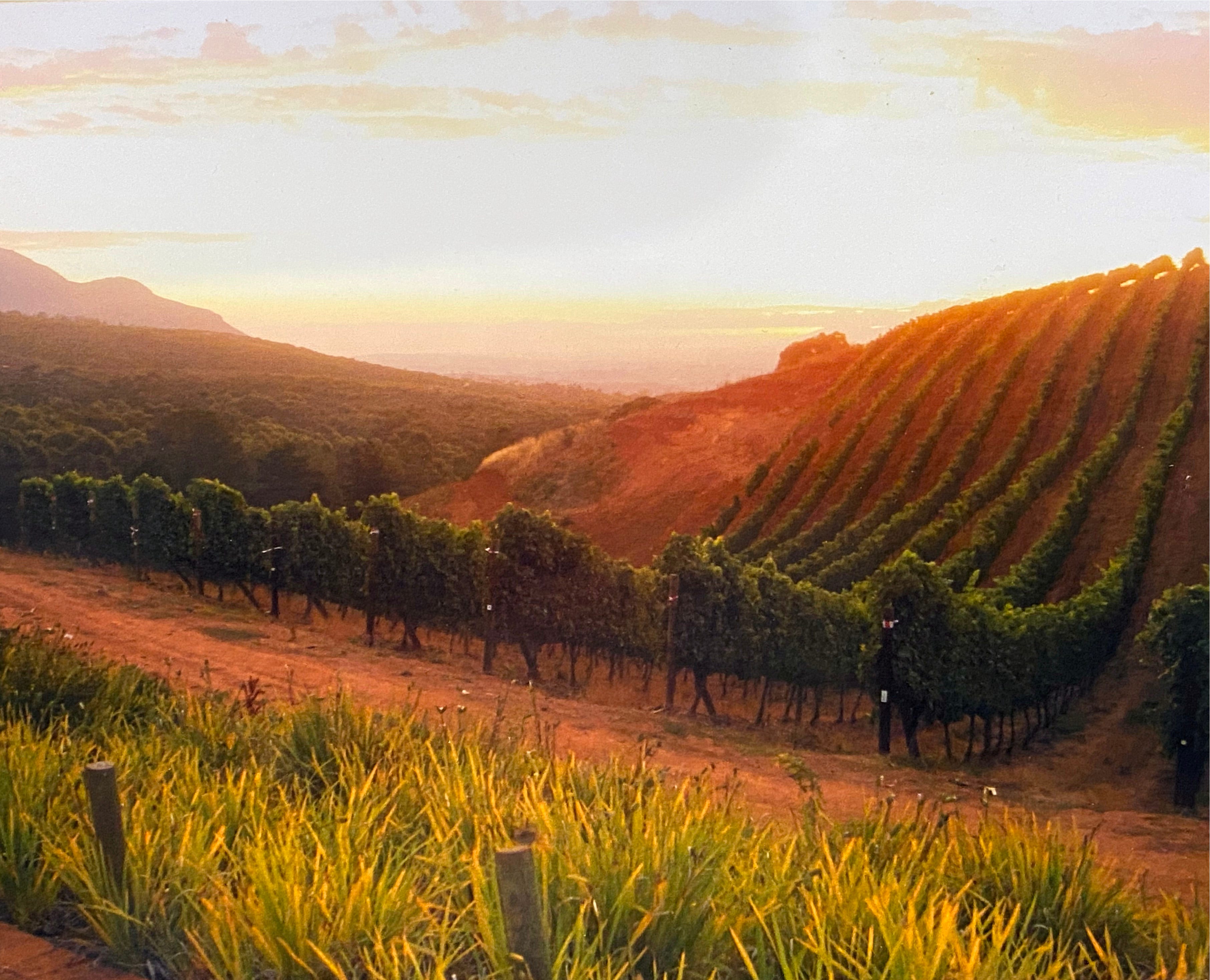 The song of sunset - by Brian Chee - Dang Chee