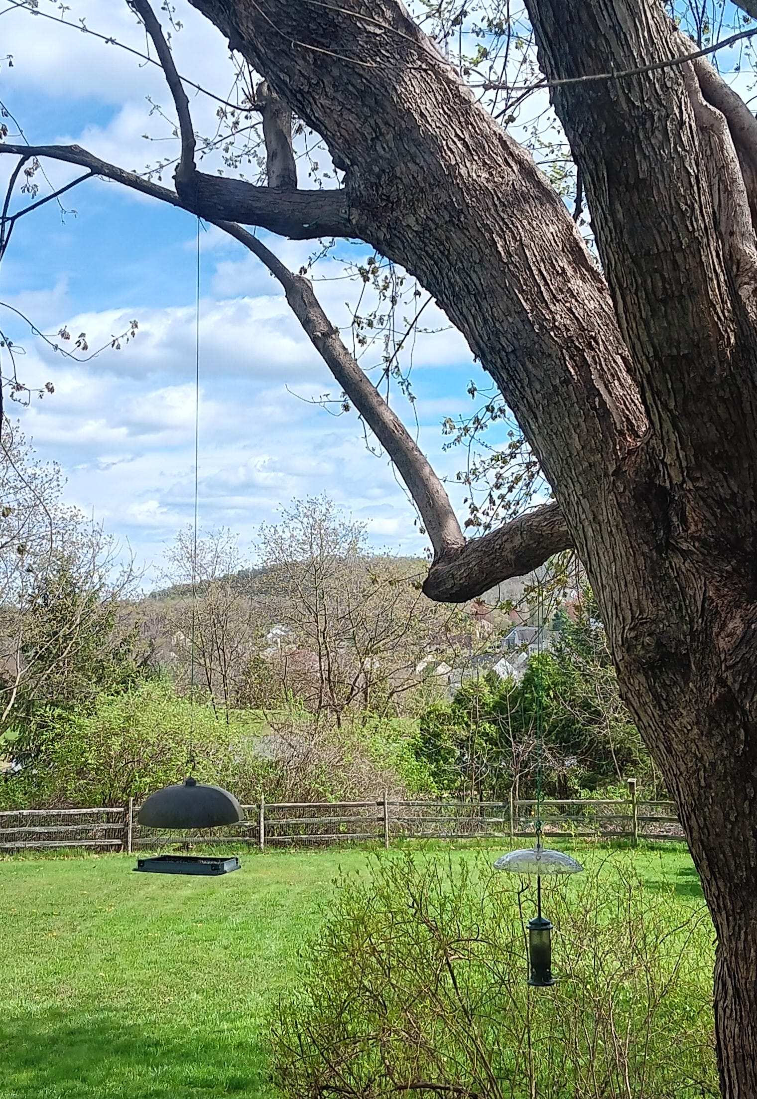 Saturday afternoon raw writing - by Jane Deegan