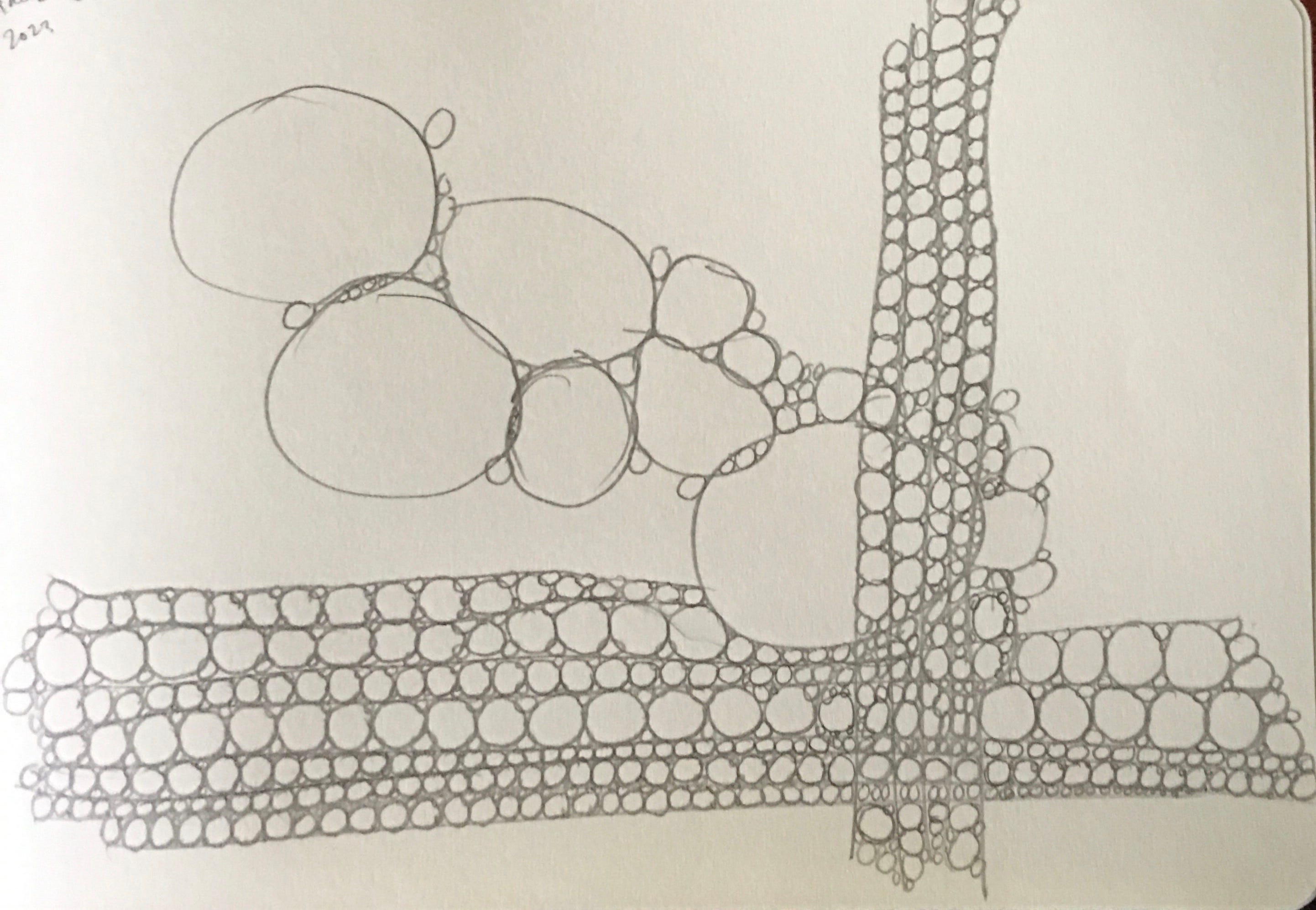 dependency and rage - by Josh Moll