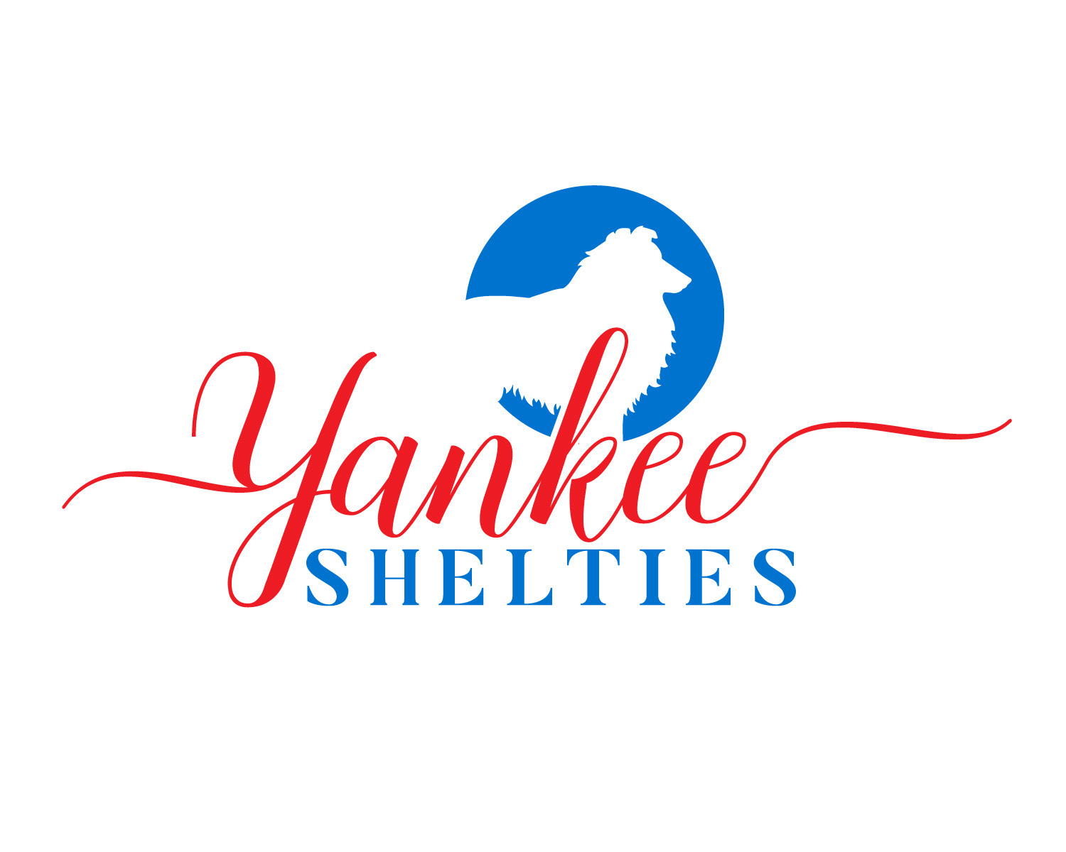 Yankee Shelties | Substack