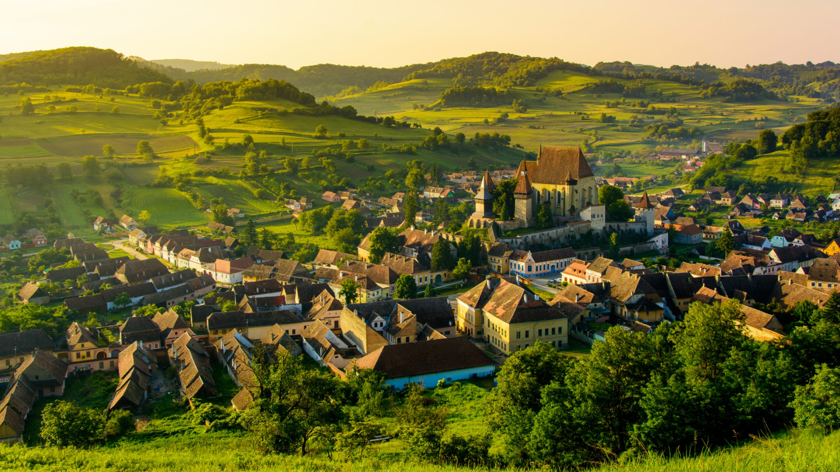 The Sovereign Artist—Episode #11 - by Vizi Andrei