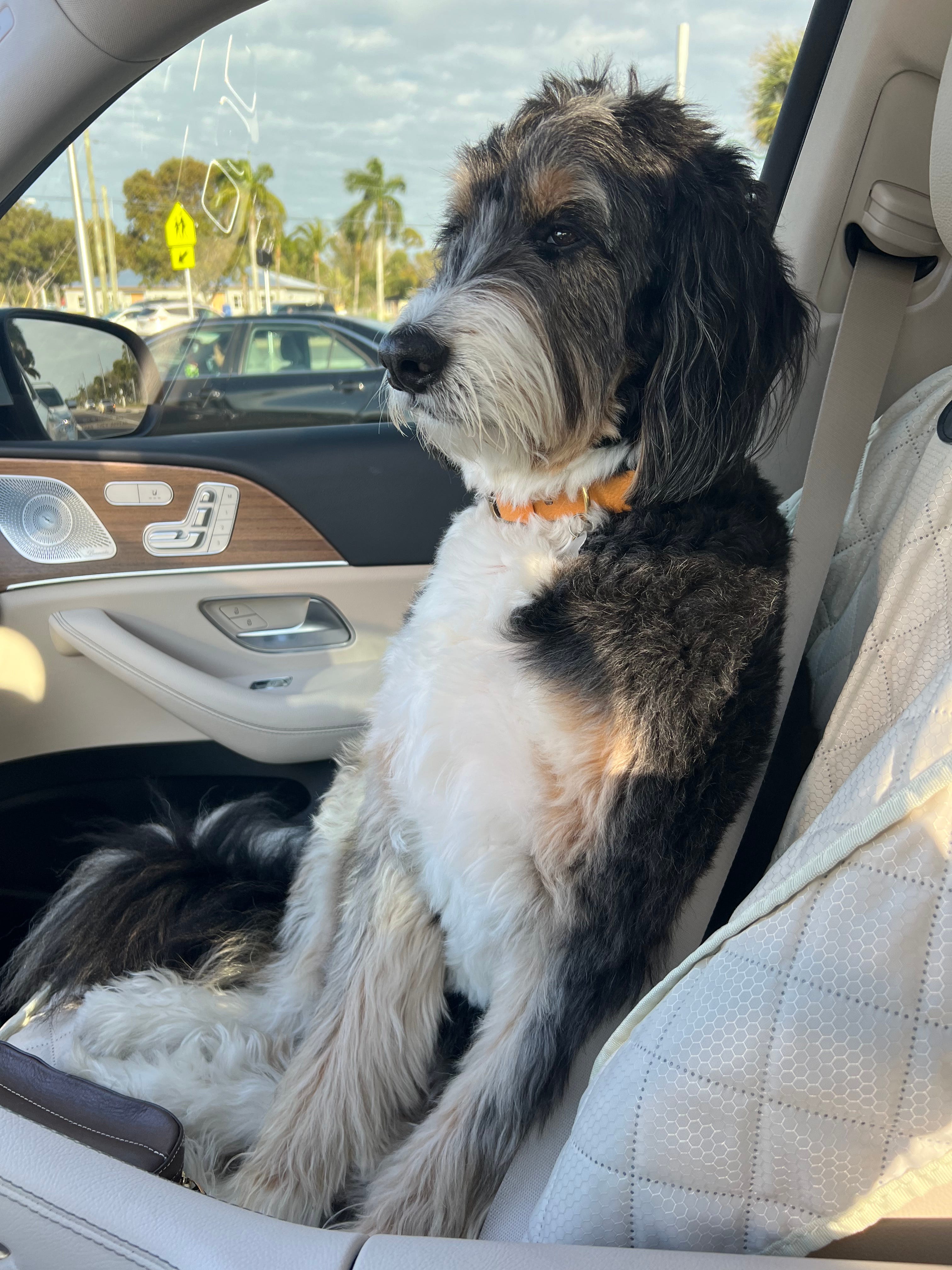 Reddit IPO: S1 Breakdown - by CJ Gustafson - Mostly metrics