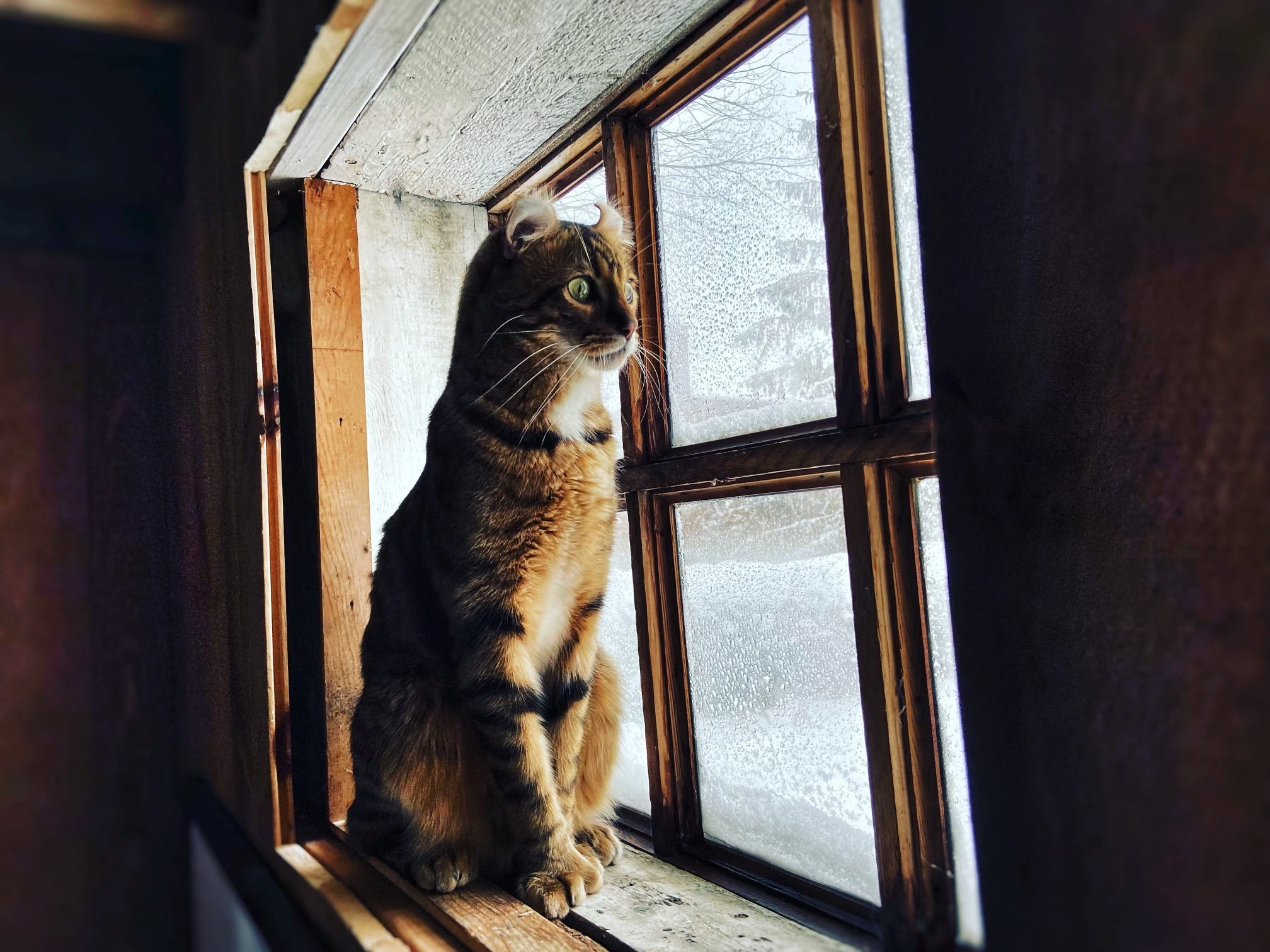 Répondre à Audrée Wilhelmy - by Anne Genest - Le dénuement