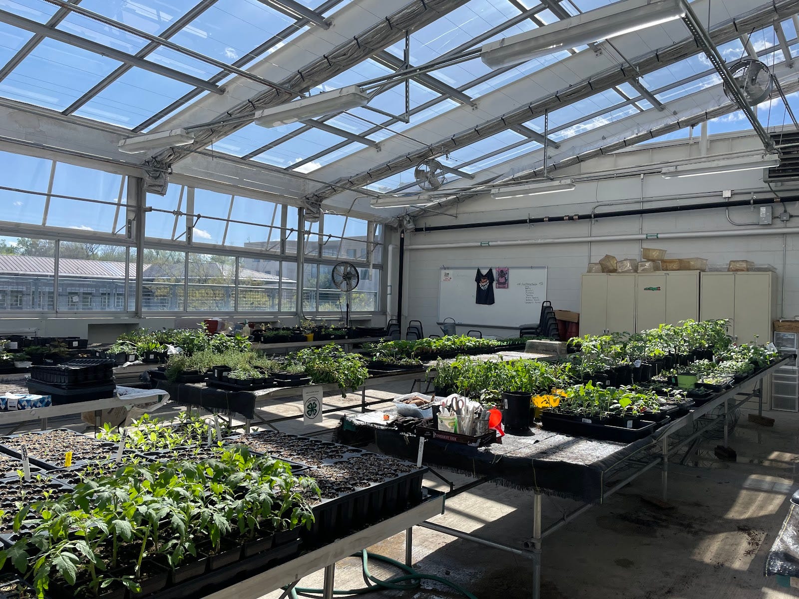 From Concrete to Crops: Urban Food Hubs Transforming DC's Food Landscape