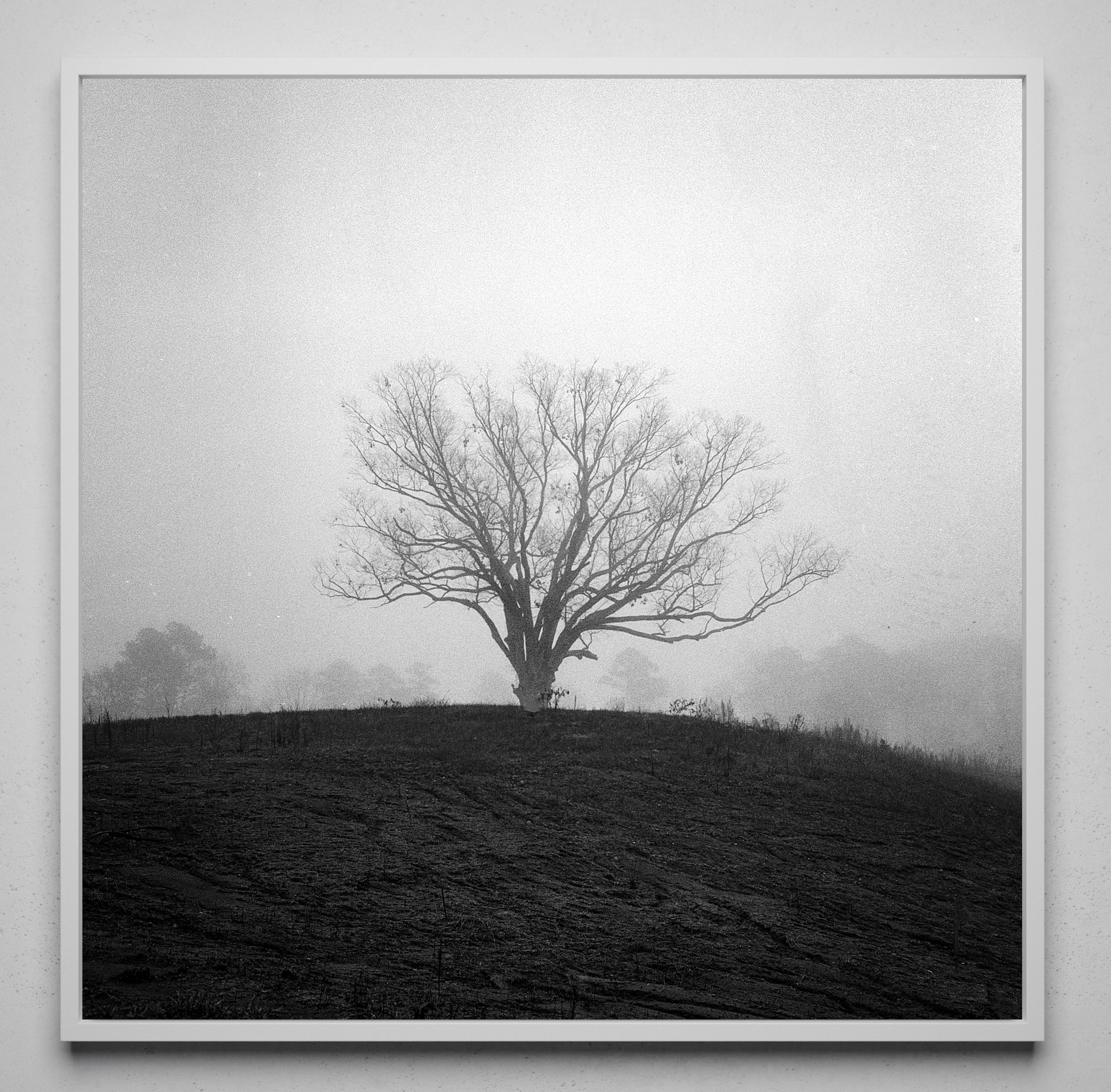 Aspective View in Photography - by Scott Allen