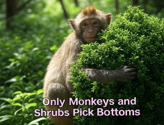 Only Monkeys and Shrubs pick Bottoms - by Le Shrub
