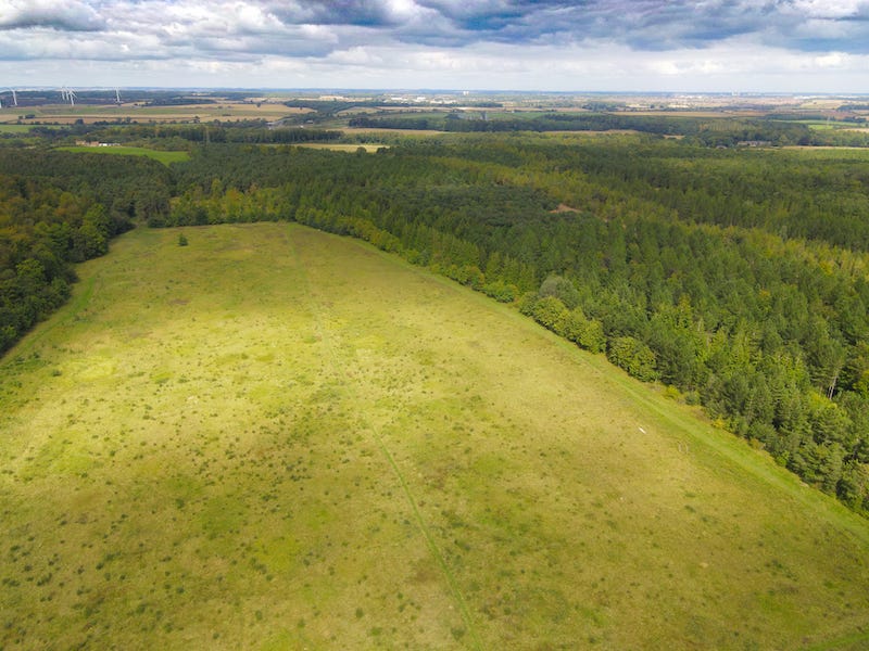 Can Weekley Hall Wood become another Stanwick Lakes?