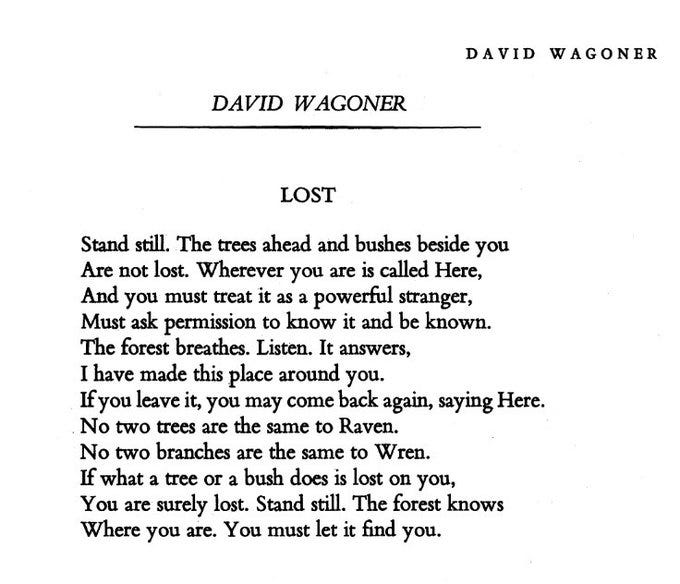 Poems for Your Weekend - by Maya C. Popa - Poetry Today