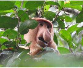 Introducing R E A Holdings - The Oak Bloke’s Substack