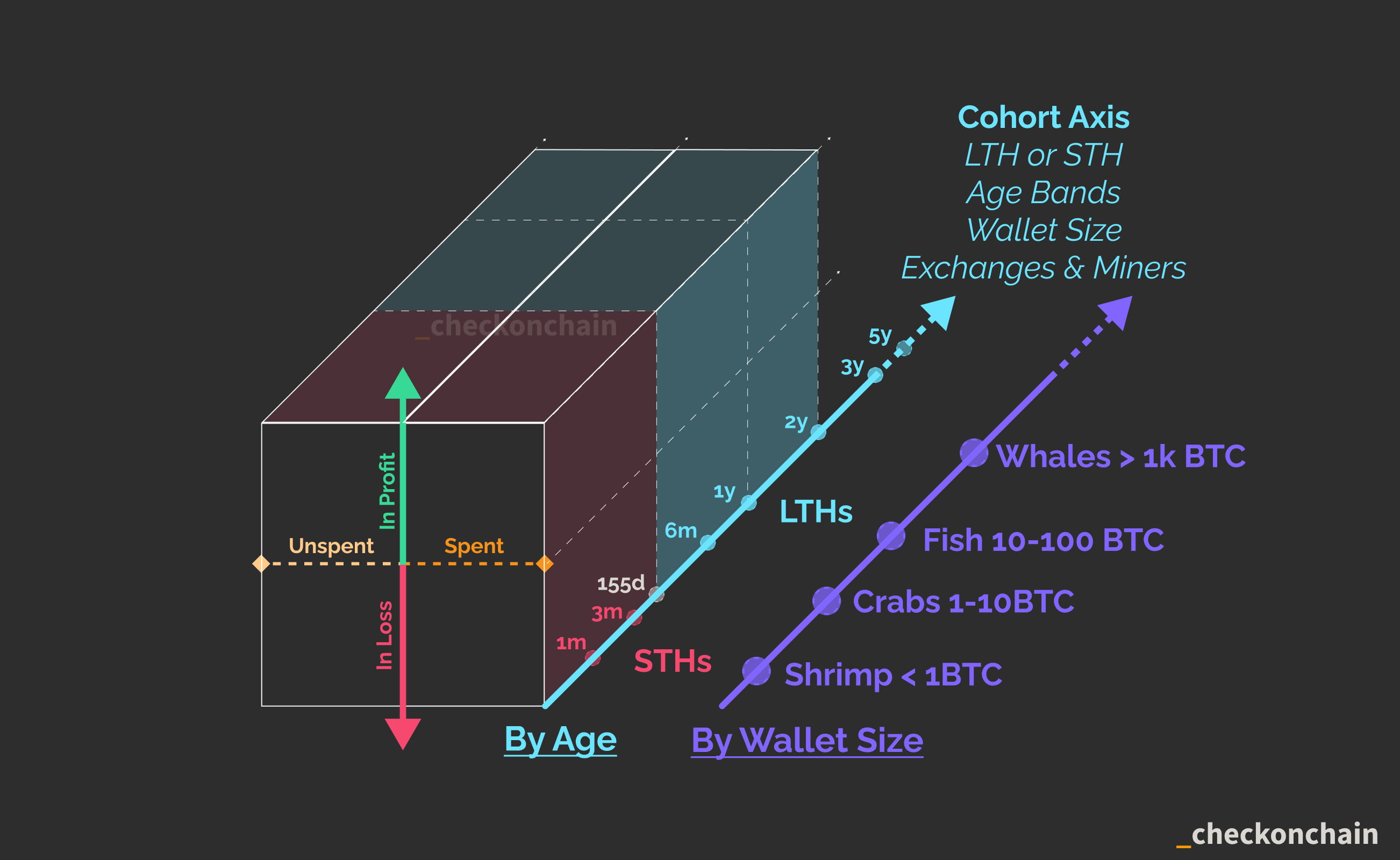 The Checkonchain Framework - by James Check (Checkmatey)